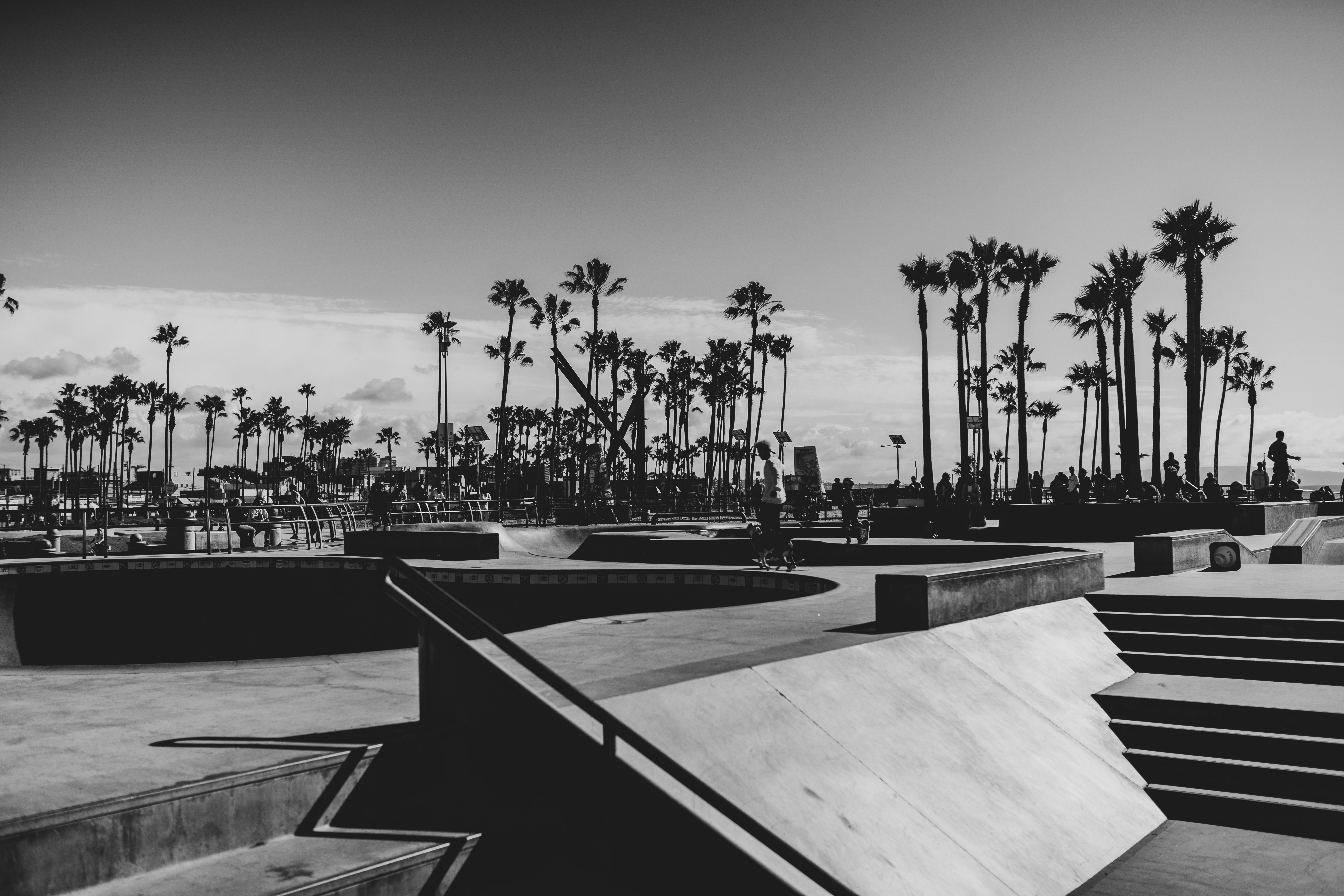 A dynamic skatepark scene framed by palm trees under a moody sky, showcasing the interplay of concrete and nature. The monochrome tones enhance the atmosphere.