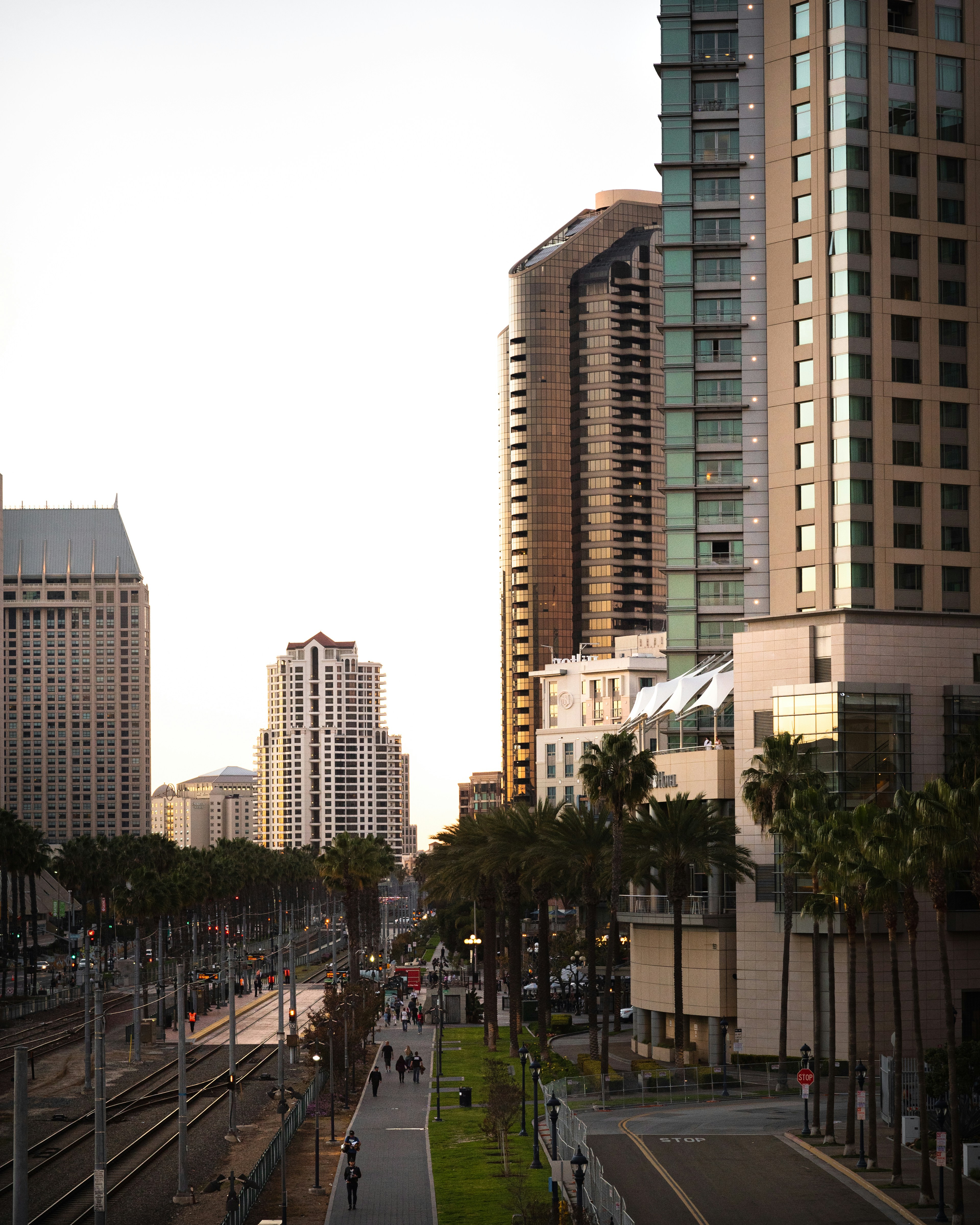 Sunlit Boulevard Between Glass Towers and Palm Groves