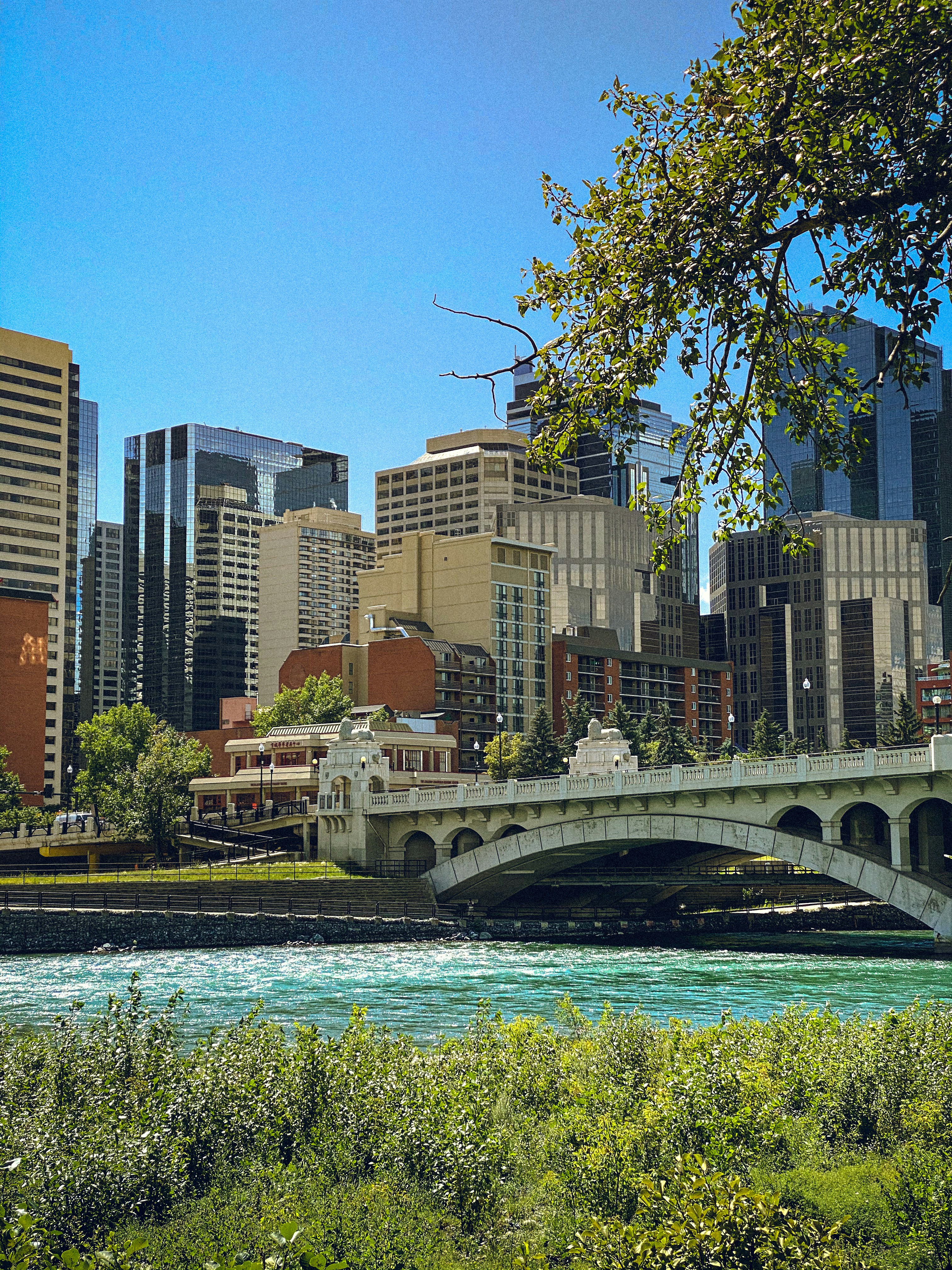 White bridge over river near high rise buildings during daytime photo ...