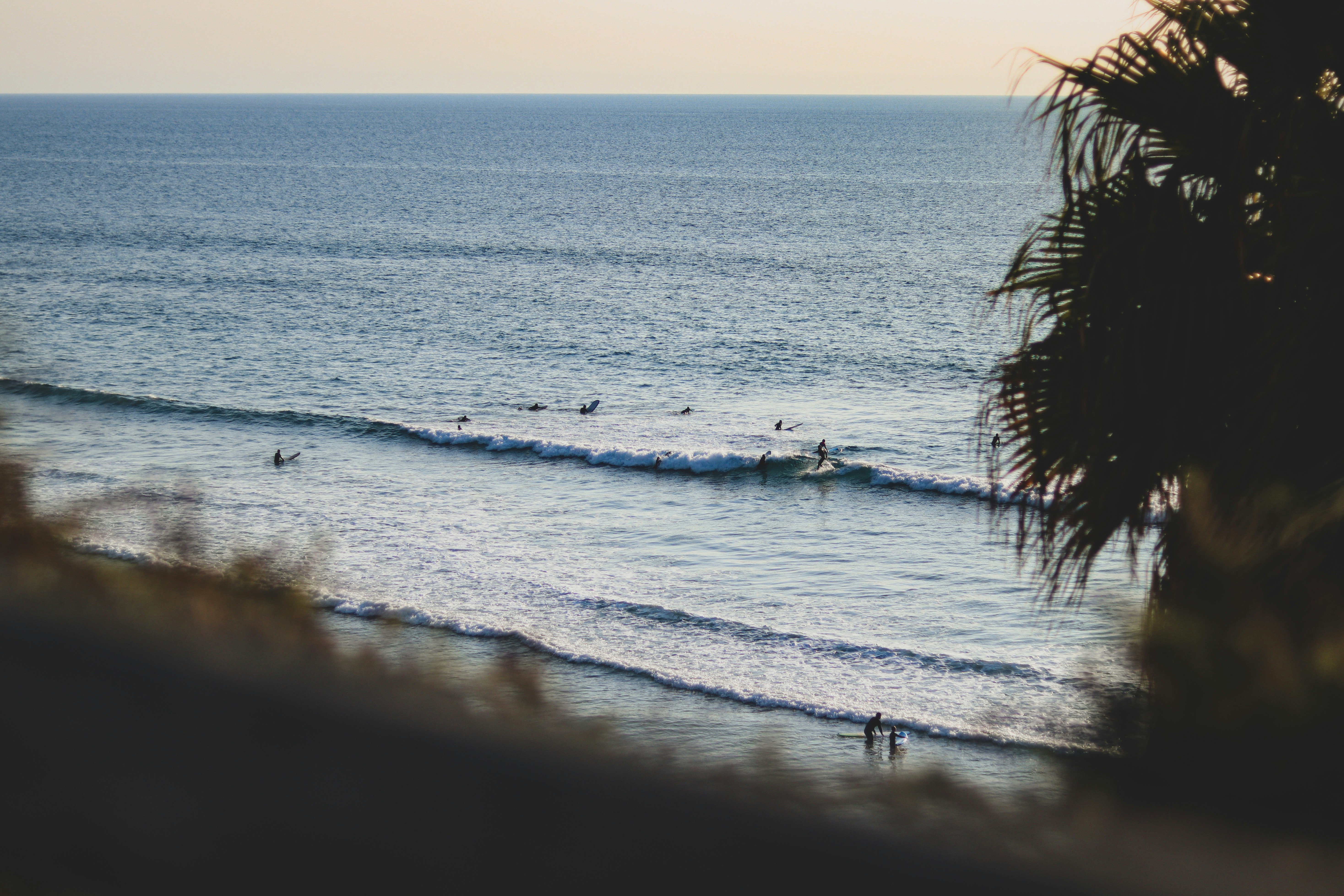 Surfers riding gentle waves under a soft sunset glow, framed by palm leaves. The tranquil scene captures the essence of coastal leisure.