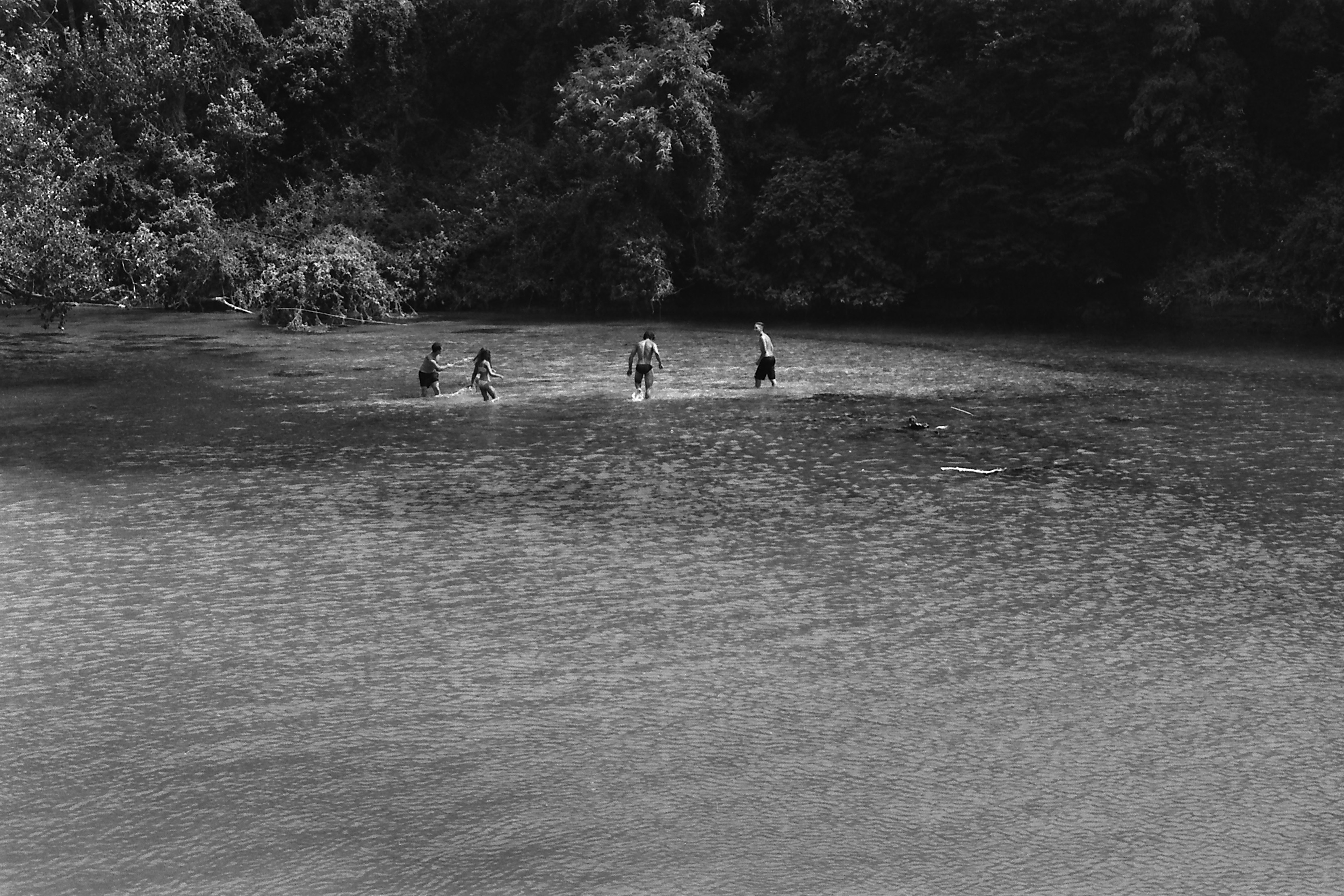 Four people wading in a serene river surrounded by dense foliage in black and white.
