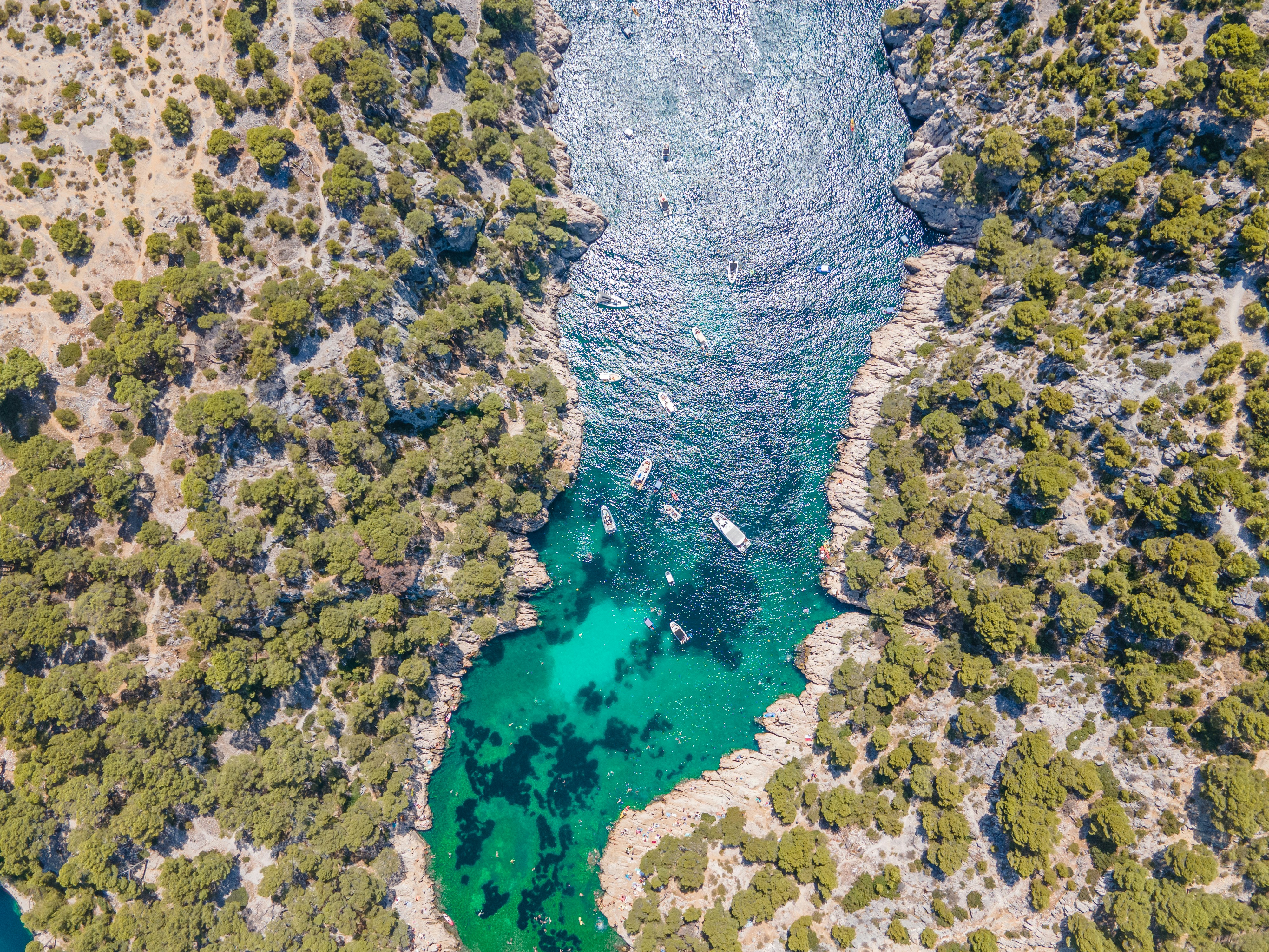 Aerial view of green trees and river photo – Free Marseille Image on ...