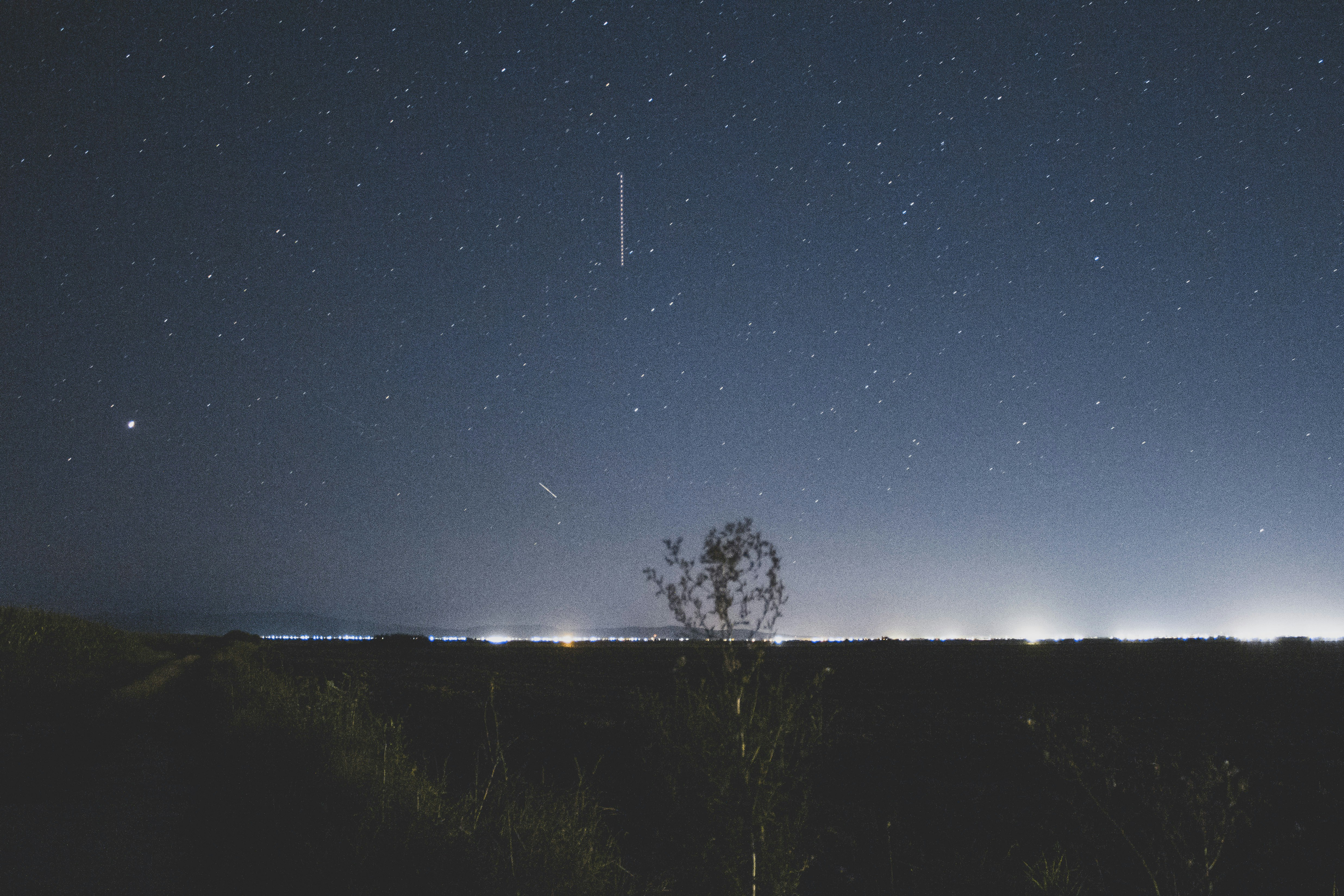 Meteors over a Solitary Shrub: Night Sky Above a Quiet Horizon