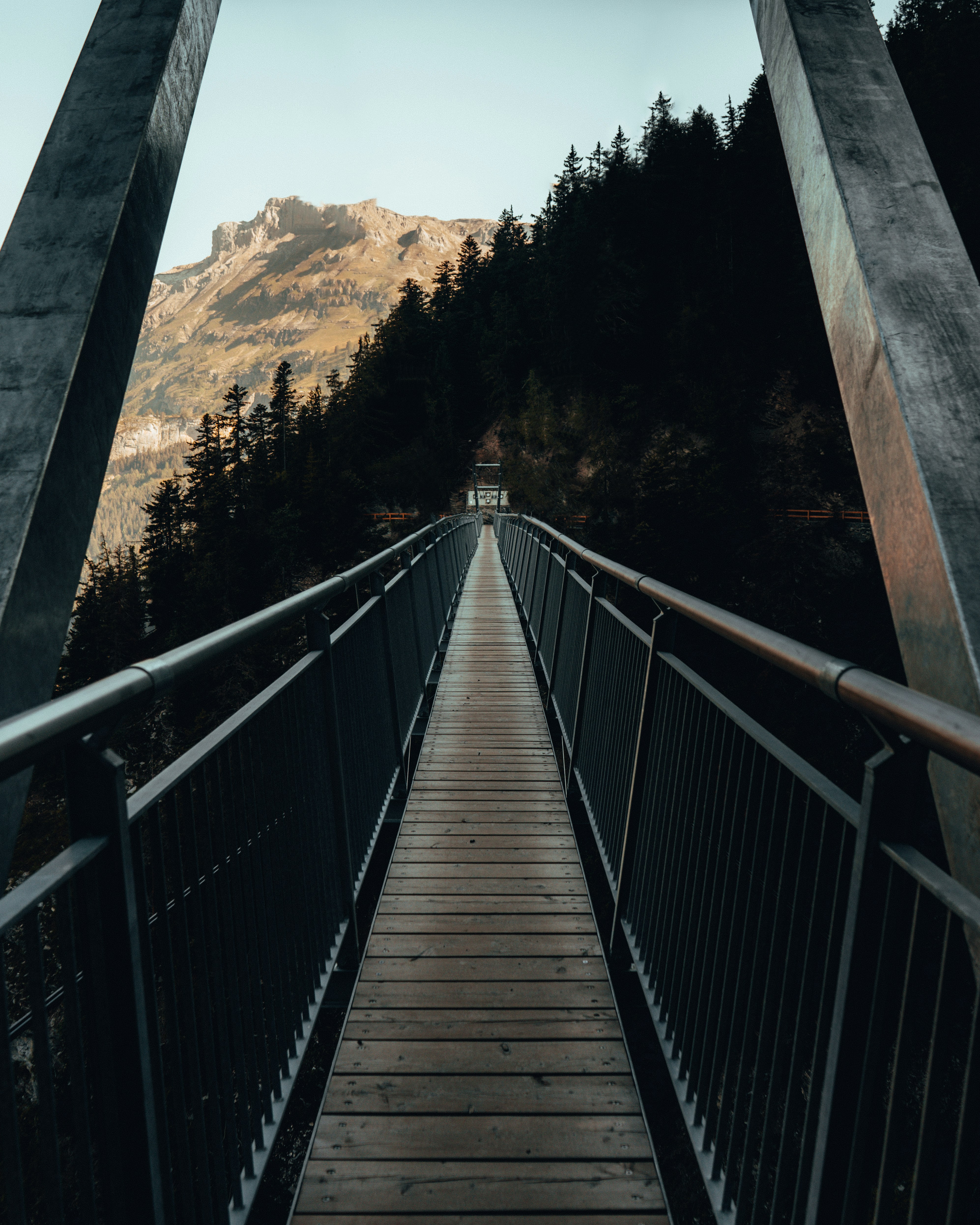 A wooden bridge stretches towards the mountains, framed by towering steel supports and dense trees. The scene captures the harmony of human engineering and natural beauty.