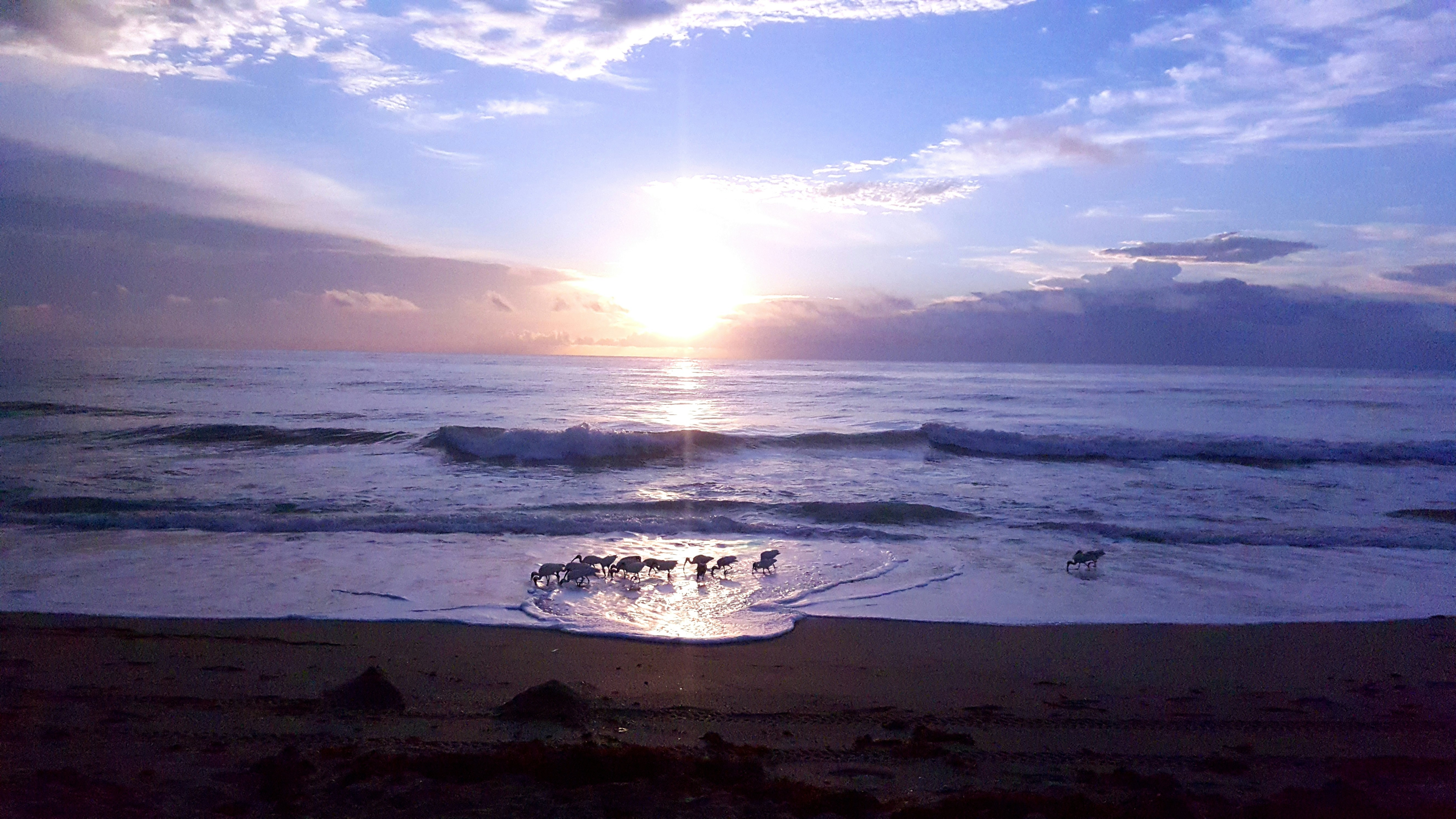 Sun rising over the ocean with gentle waves lapping at a sandy beach.