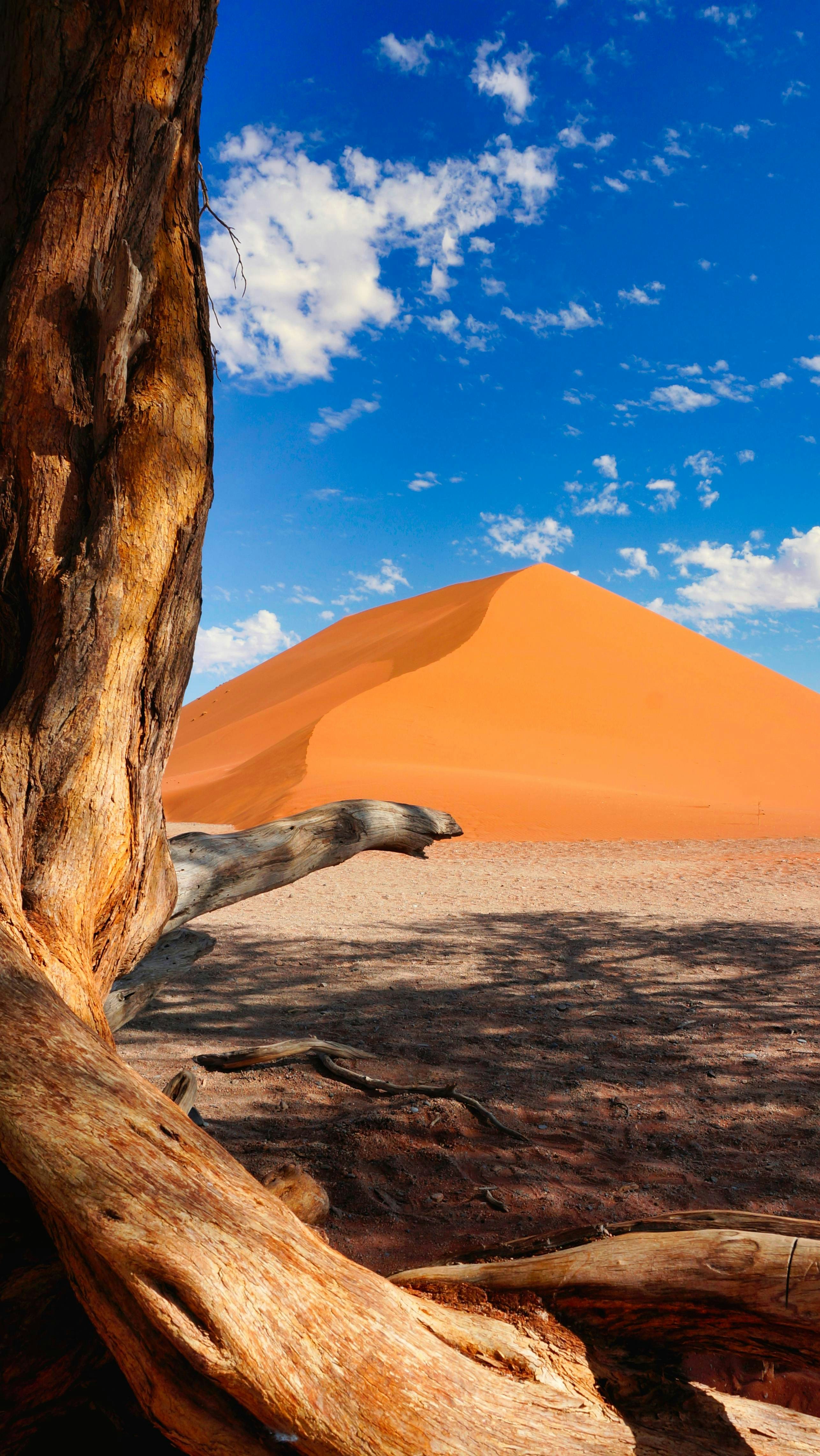 Brown and black rock formation near body of water during daytime photo ...