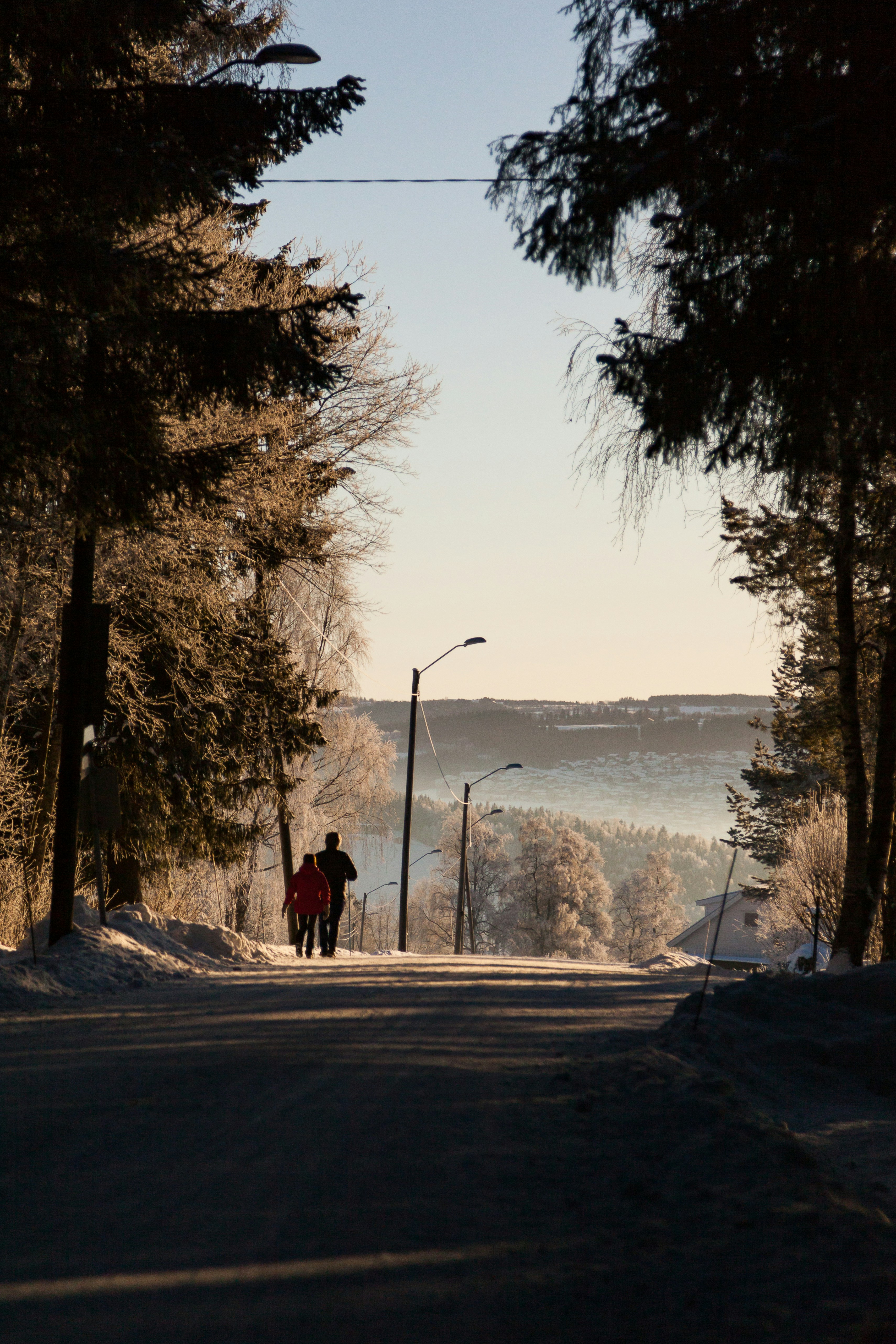 Two figures walking hand in hand along a snow-covered road flanked by frosted trees, with a serene landscape in the background.