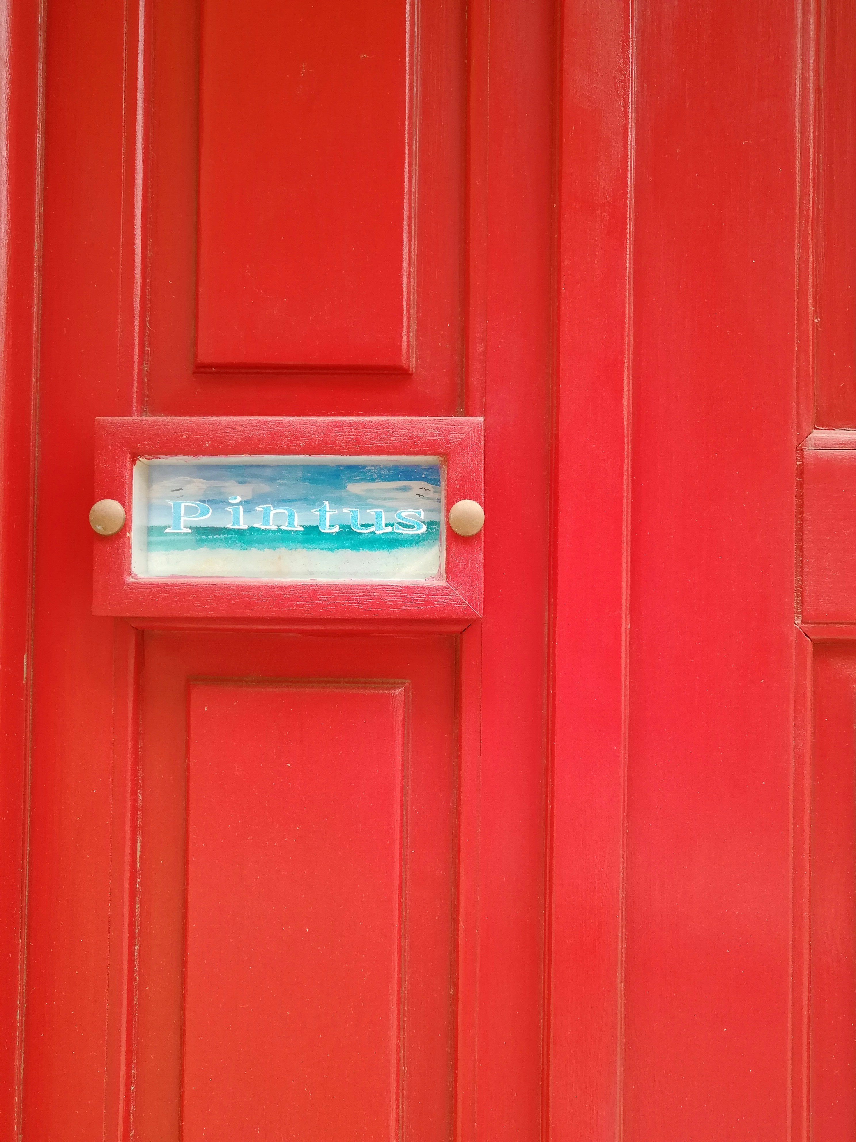 Bright red door featuring a mailbox with the name 'Pintus' displayed prominently. The contrasting colors and textures invite curiosity.