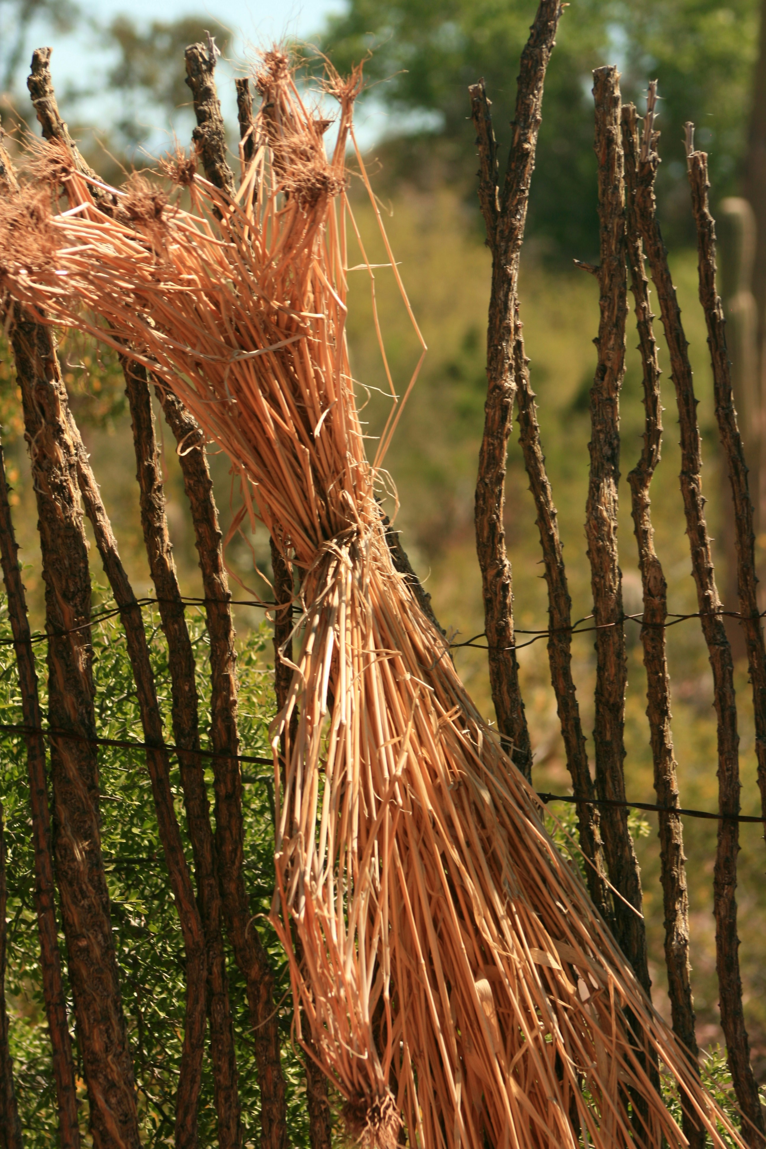 A bundle of dry grass intertwined with rustic wooden sticks, showcasing a blend of natural materials in a desert landscape.