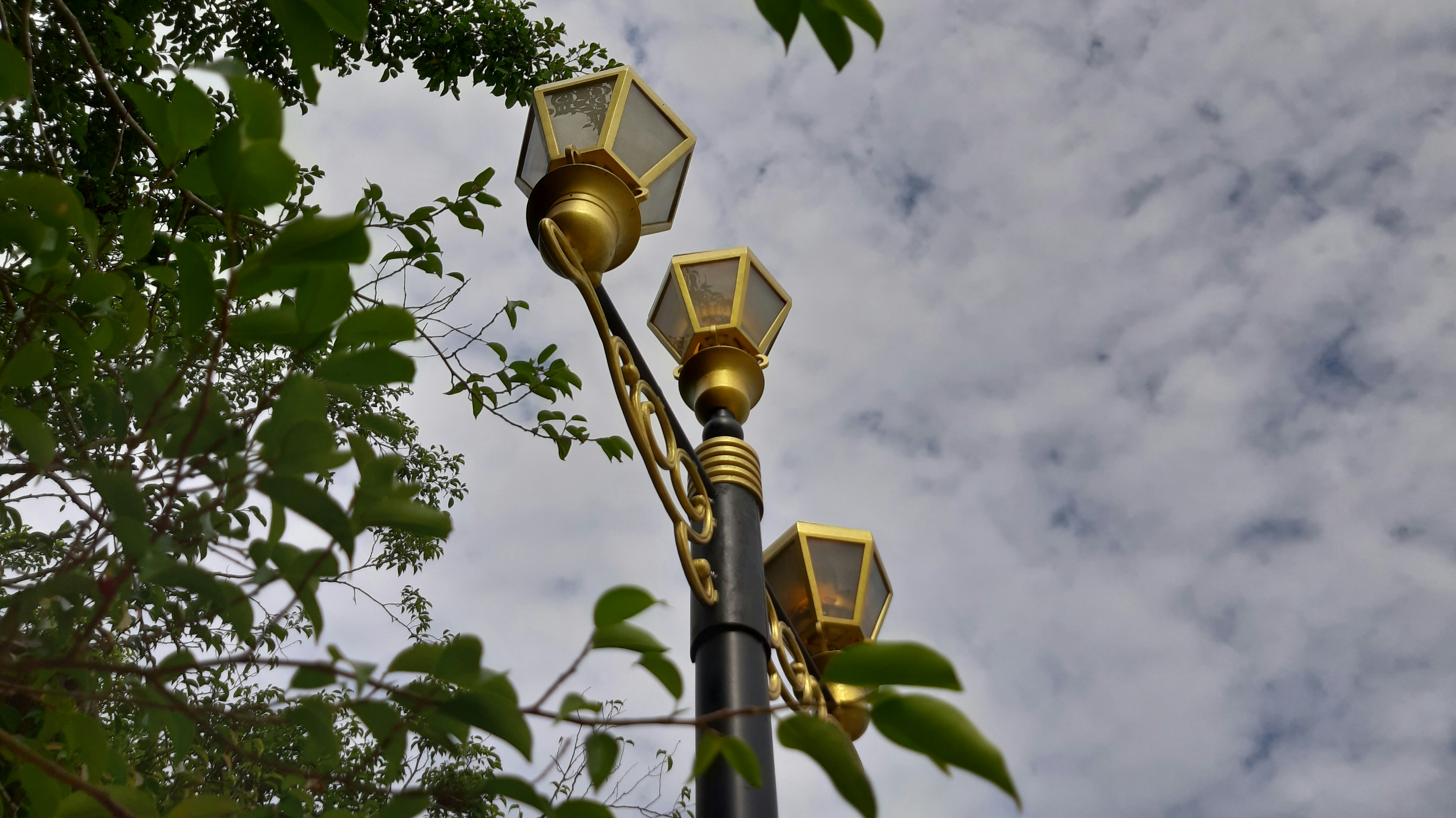 Golden street lamps adorned with intricate designs stand tall against a backdrop of textured clouds and greenery.