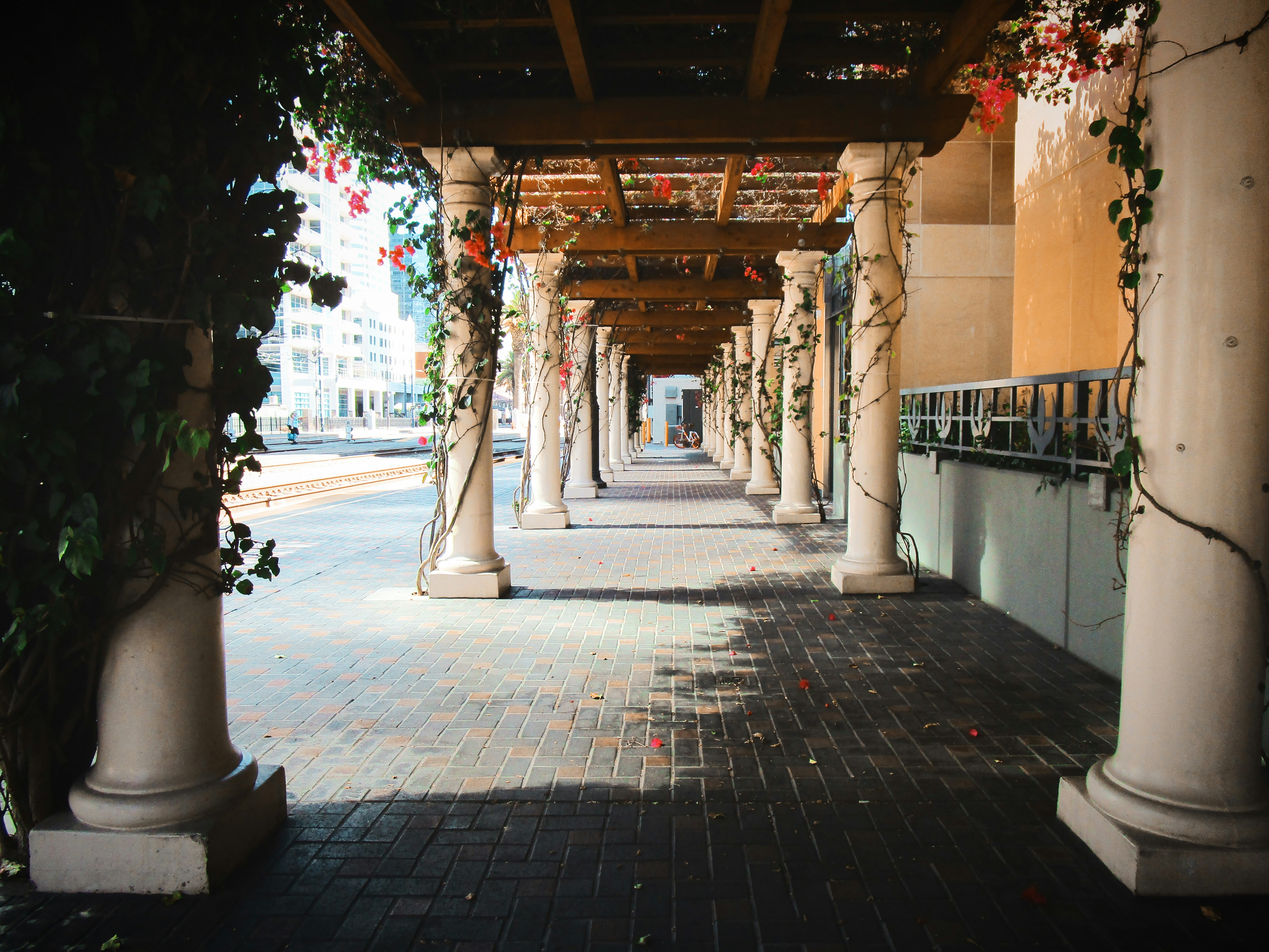 Photo by Sonja N with Canon PowerShot ELPH 190 IS