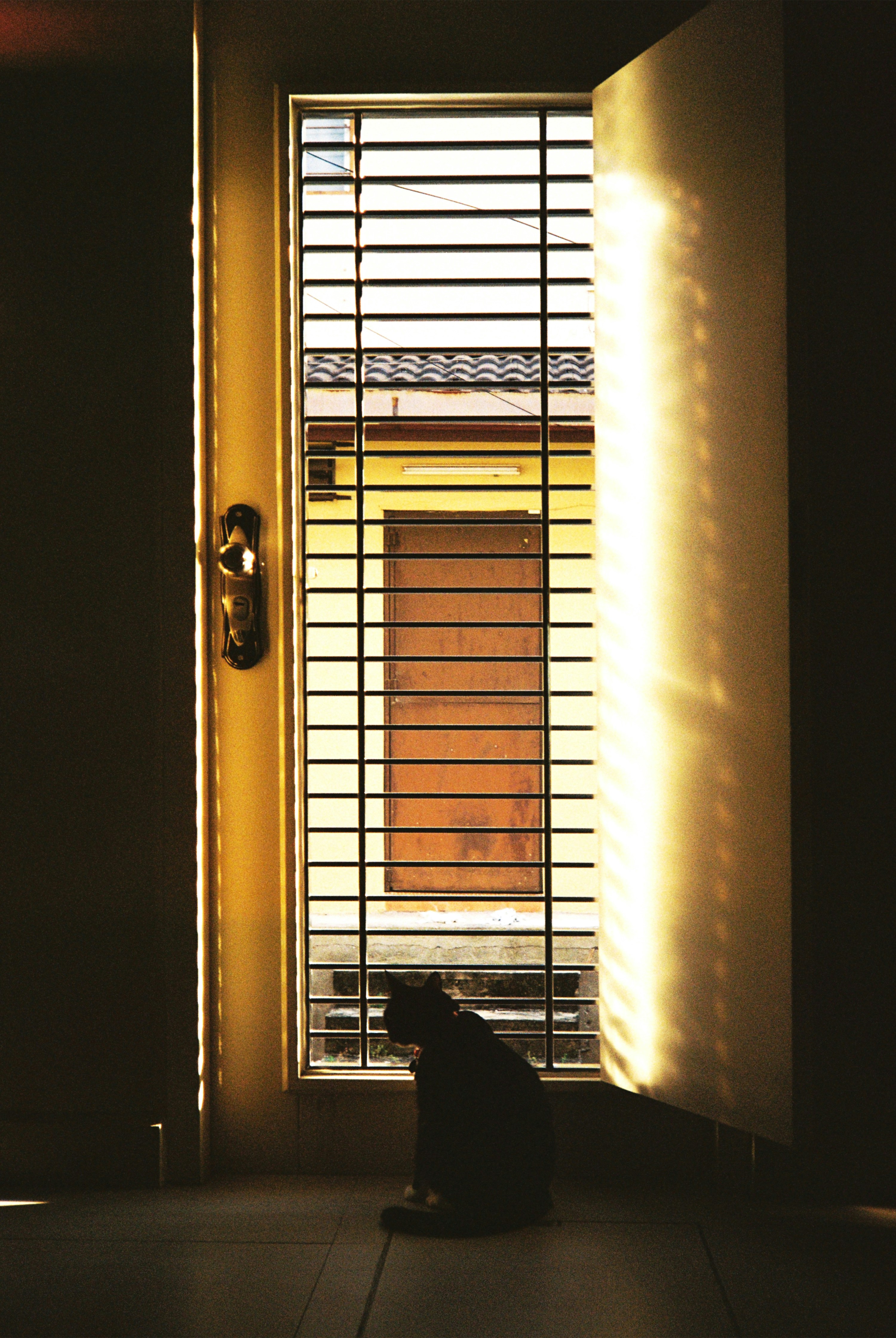 A cat sits in silhouette by an open door, framed by slatted sunlight casting stripes across the floor. The contrasting colors create a serene ambiance.