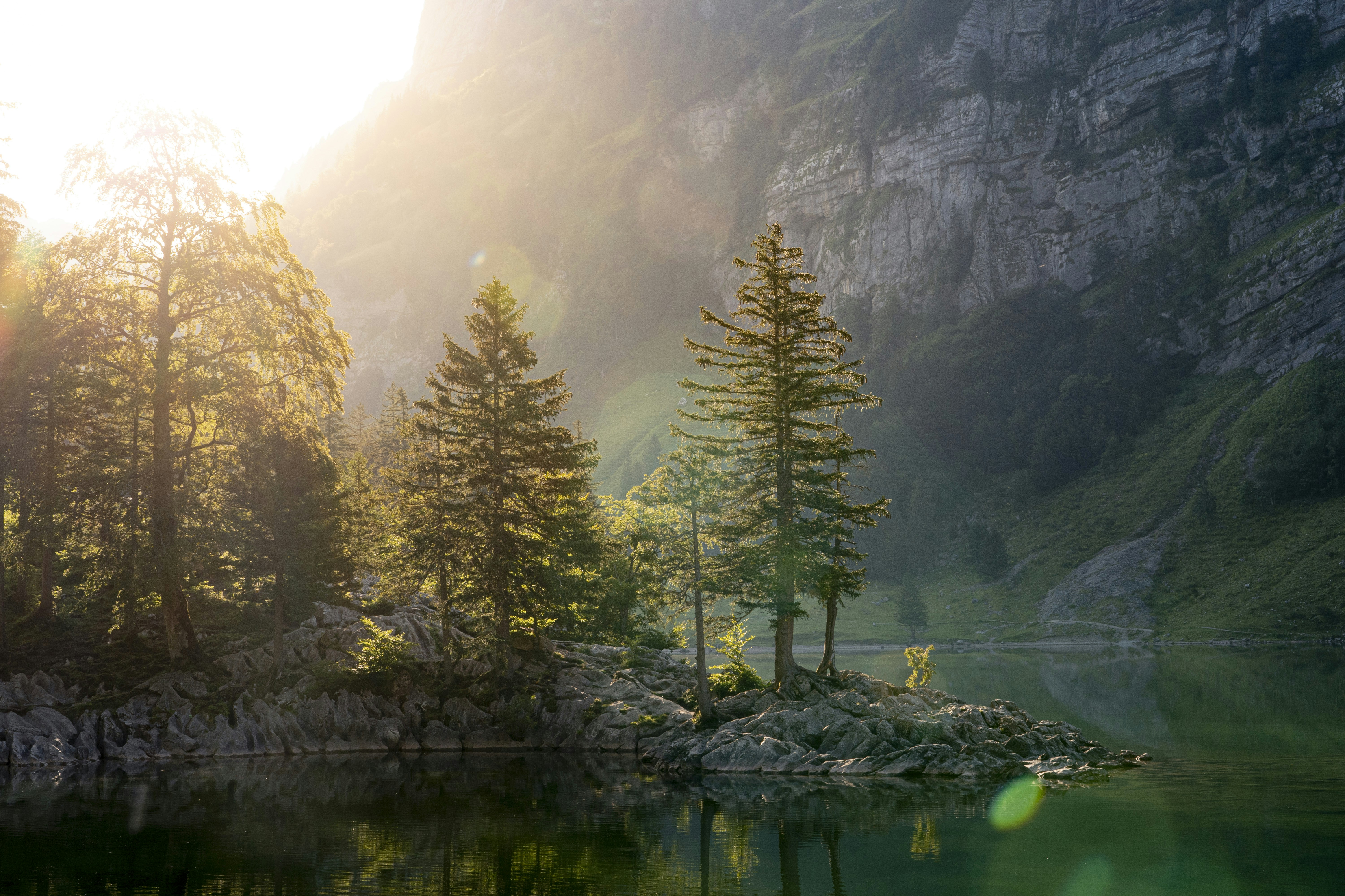 Nature | 100+ best free photos on Unsplash