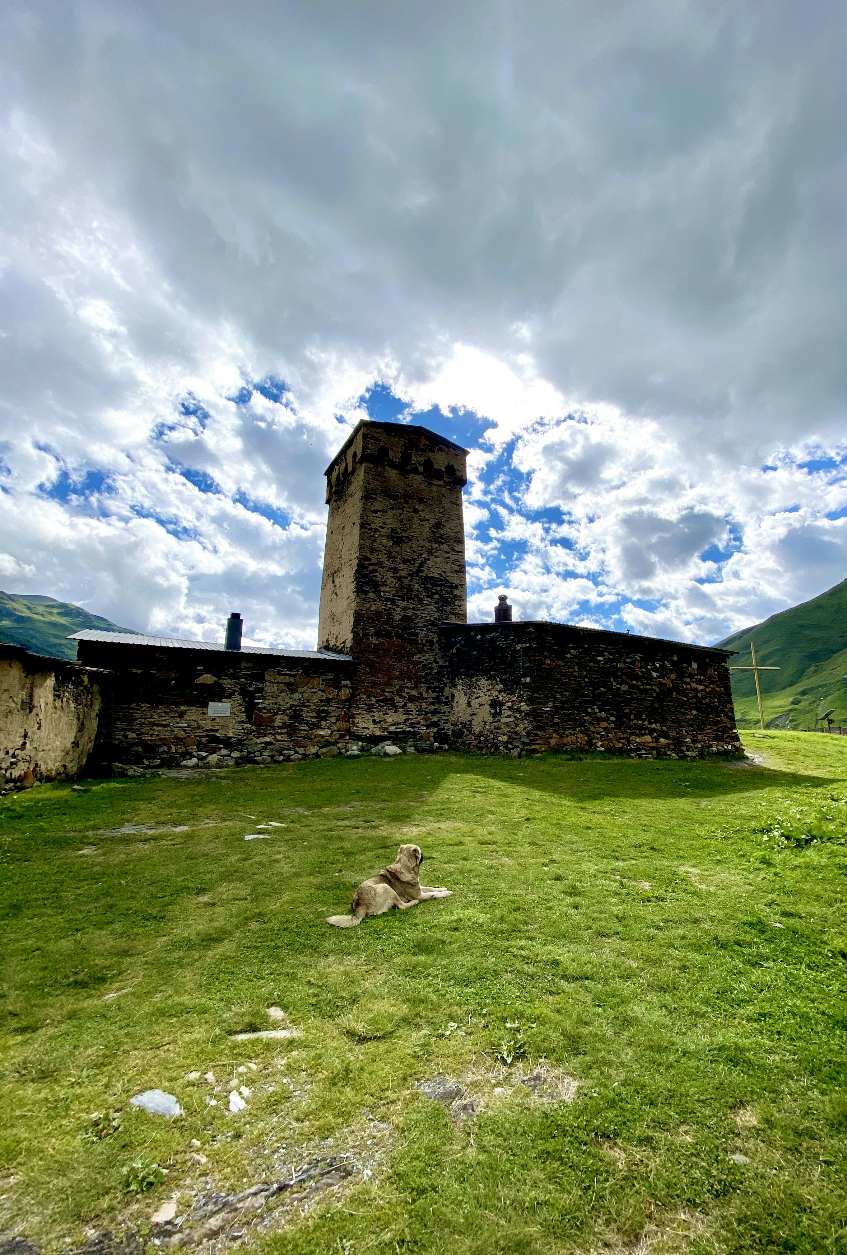 A rustic stone tower stands against a dramatic sky, with a dog lounging in the foreground on a grassy hill.
