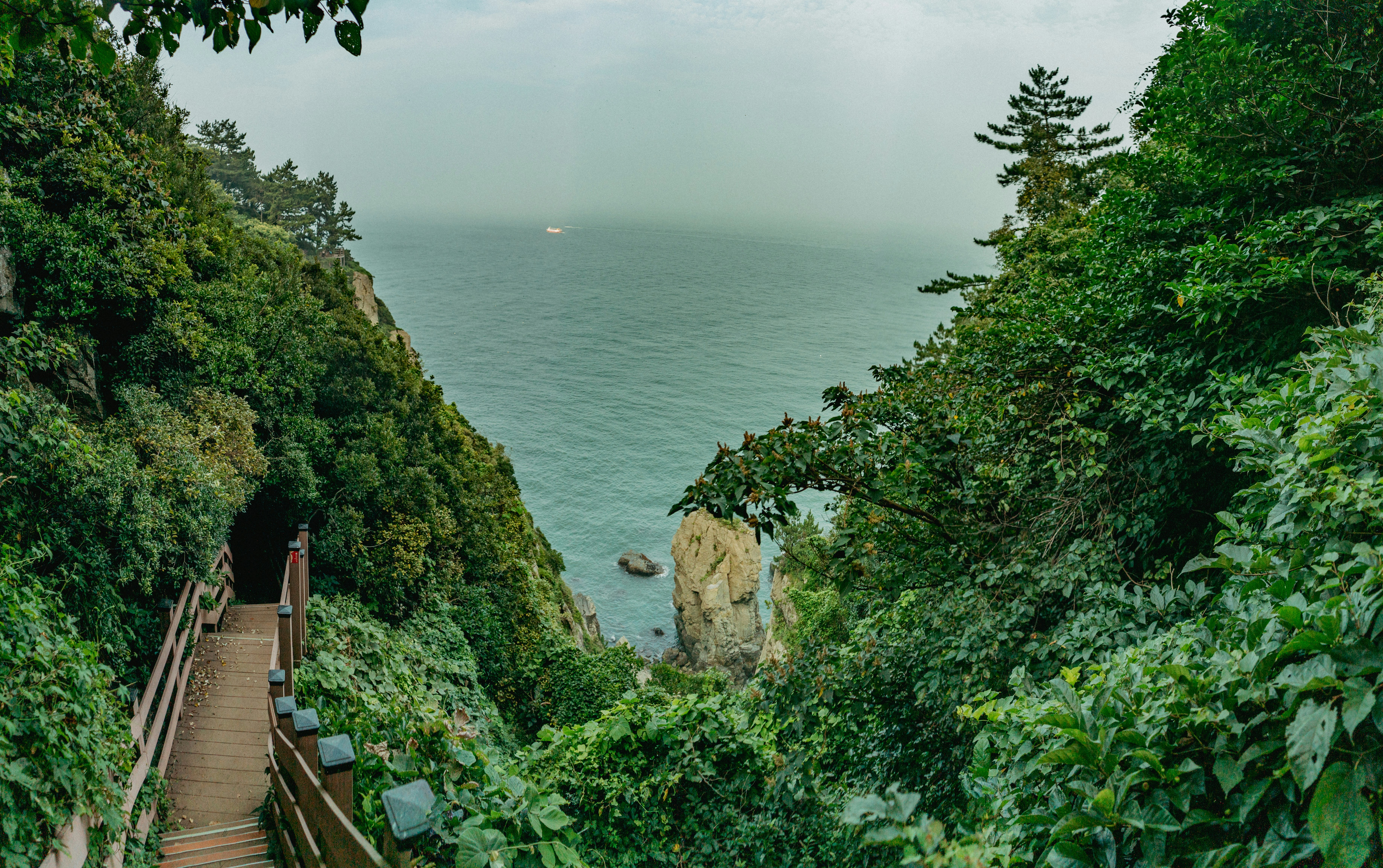 Cliffside Pathway Framing a Sea Vista