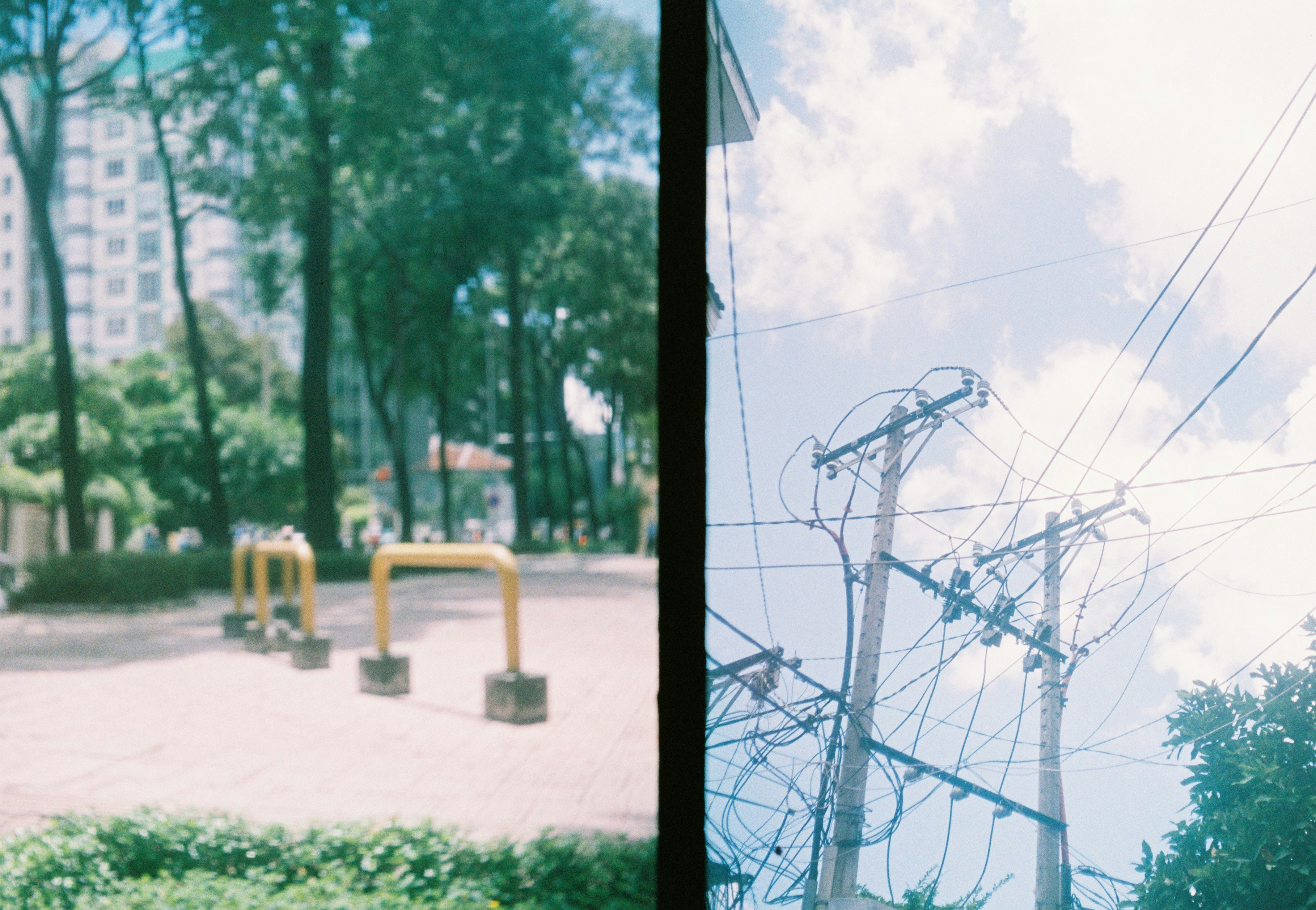 Photo by Thu Tran with Olympus Pen EES