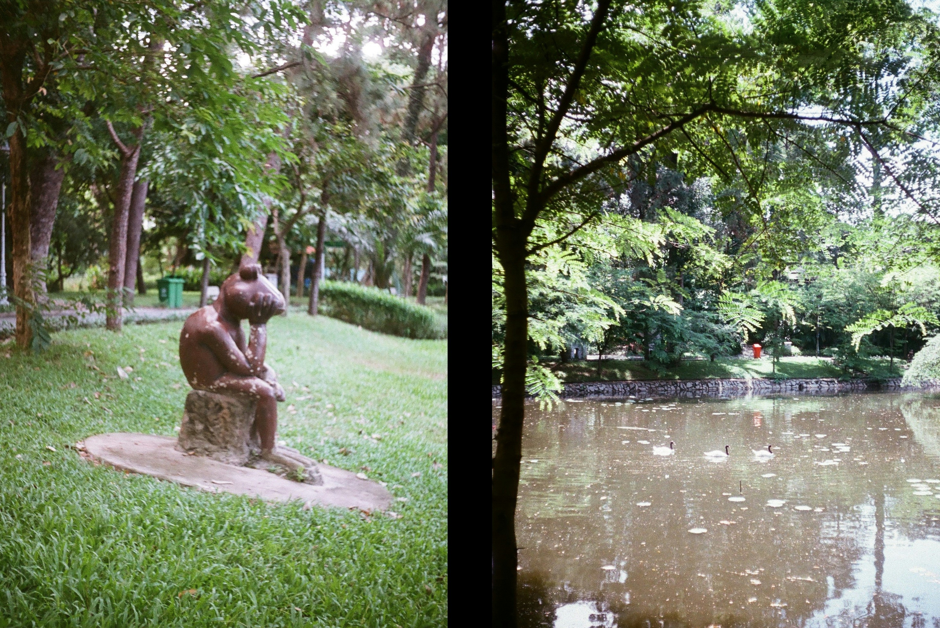 Split Scene, Shared Quiet: a Park Sculpture and a Pond Framed by Trees