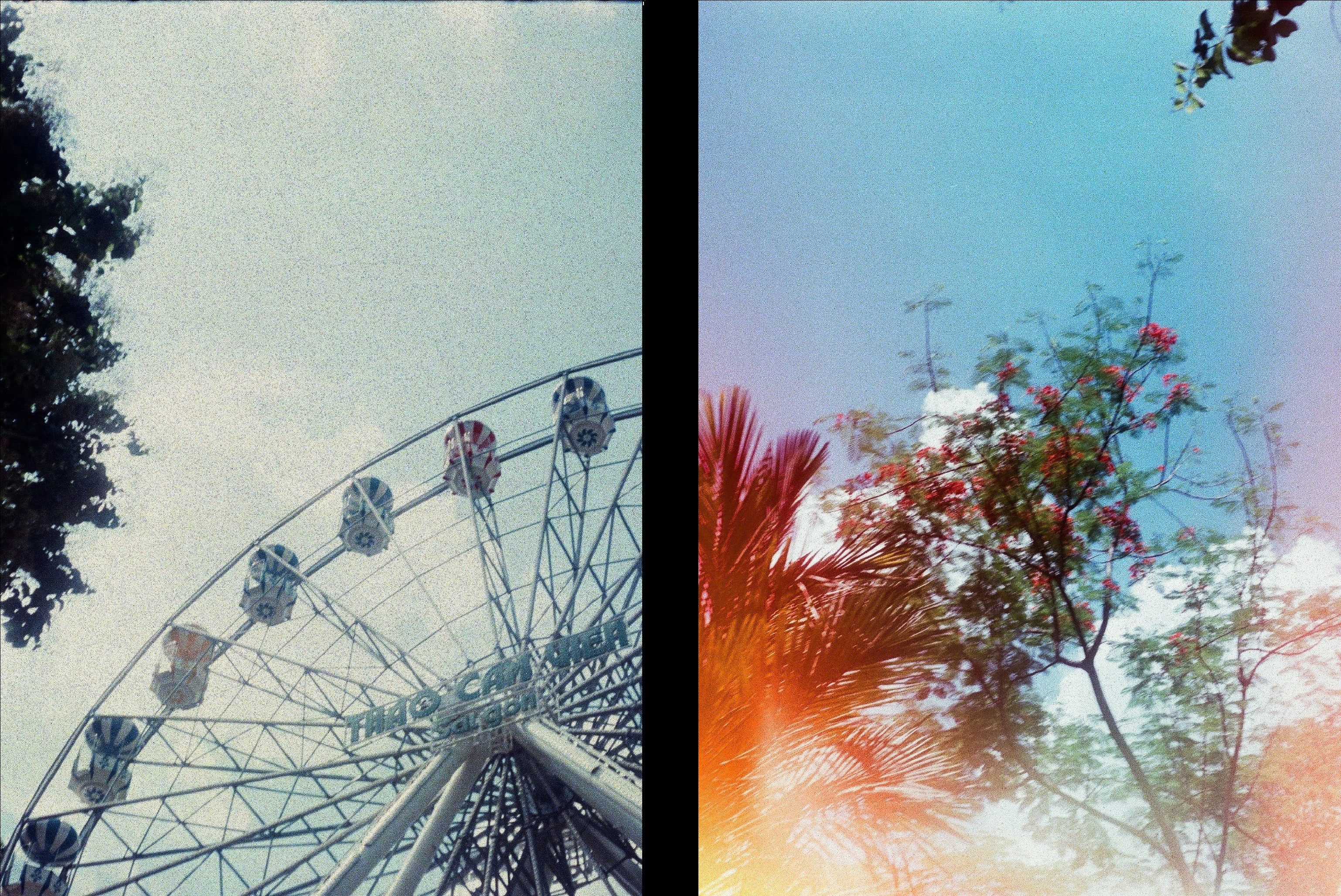 Sample photo