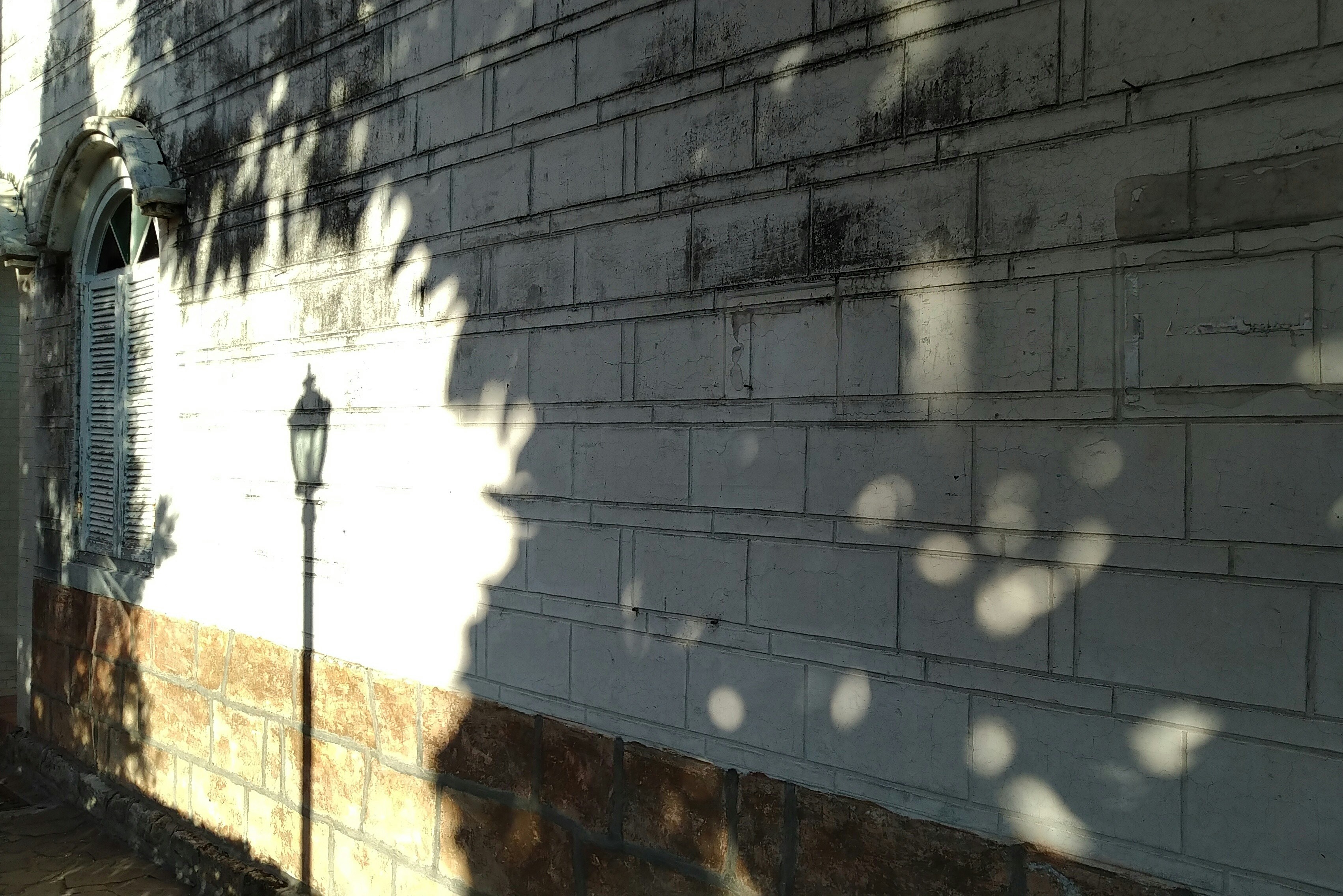 Sunlight filters through leaves, casting intricate shadows on a textured wall beside a vintage lamp post.