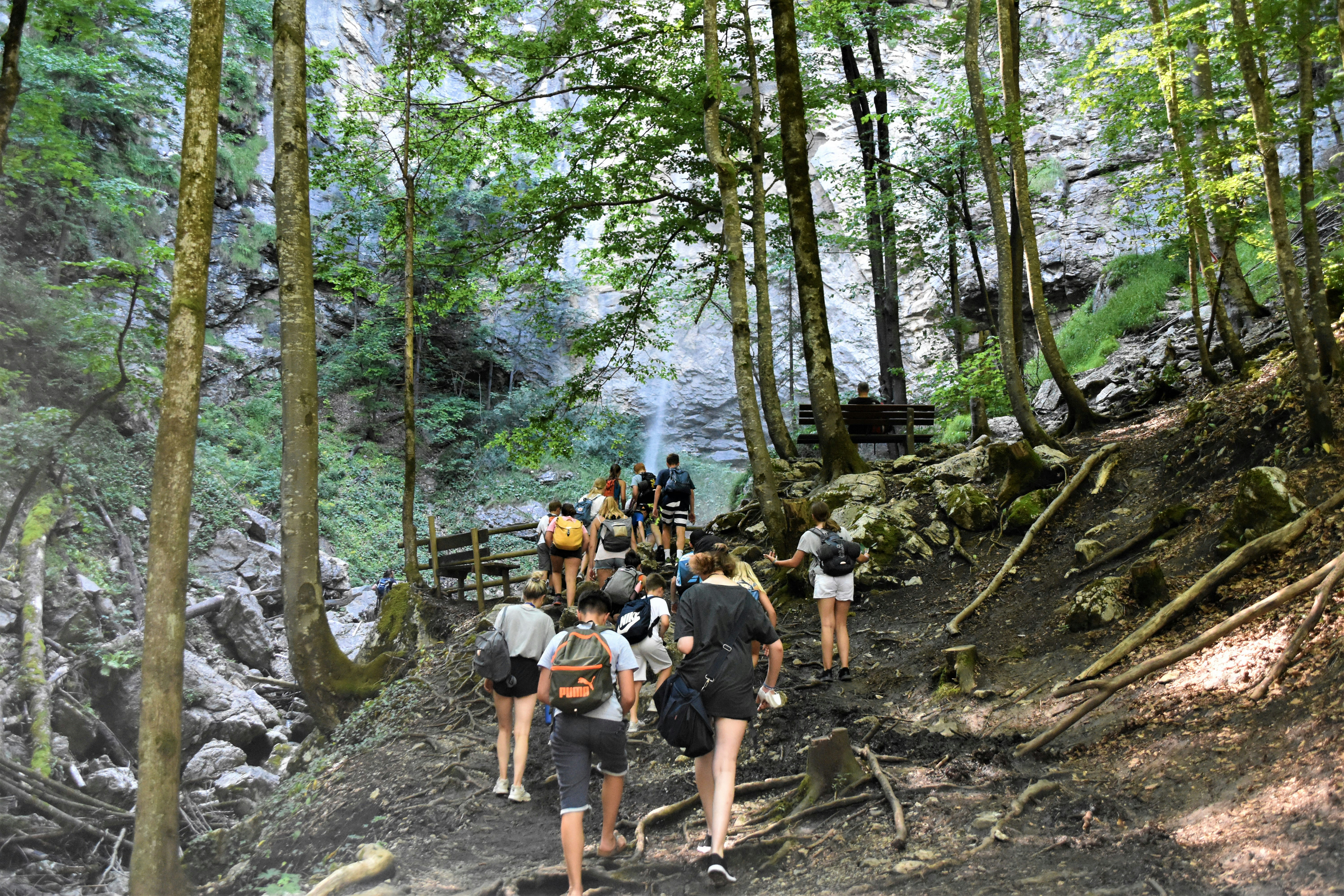 Hikers navigating a wooded trail leading to a waterfall, surrounded by lush greenery and rocky terrain.