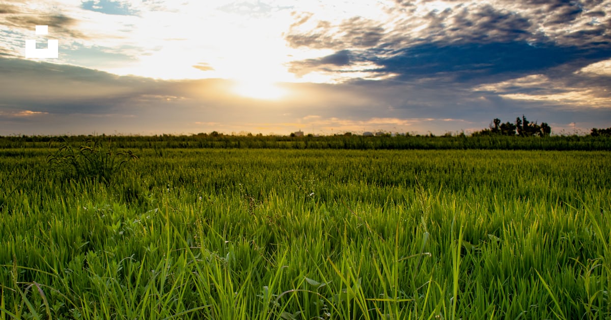 Green Grass Field Under Cloudy Sky During Daytime Photo Free Green