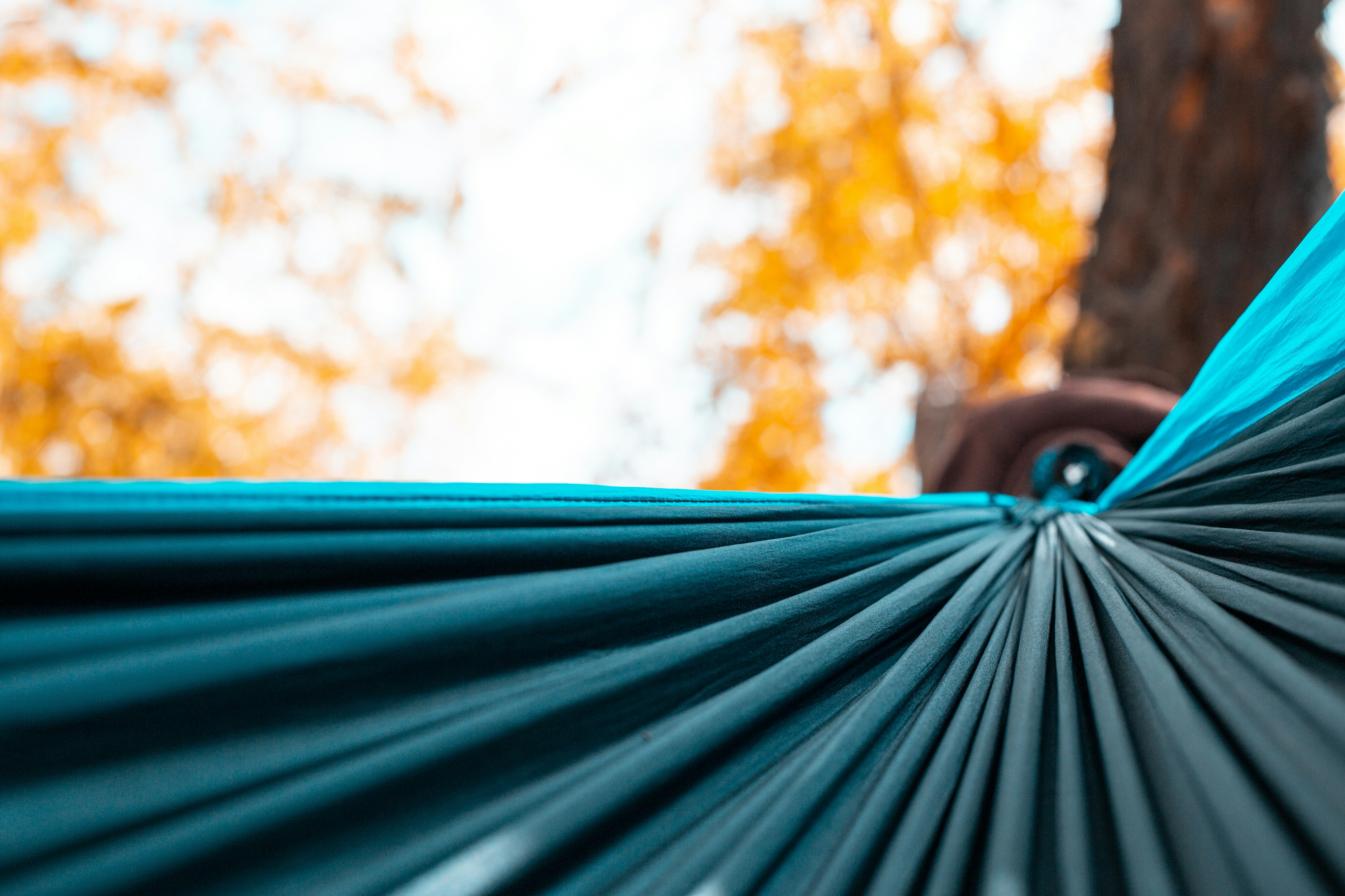 Converging Teal Strands: a Hammock's Quiet Moment Under Autumn Light
