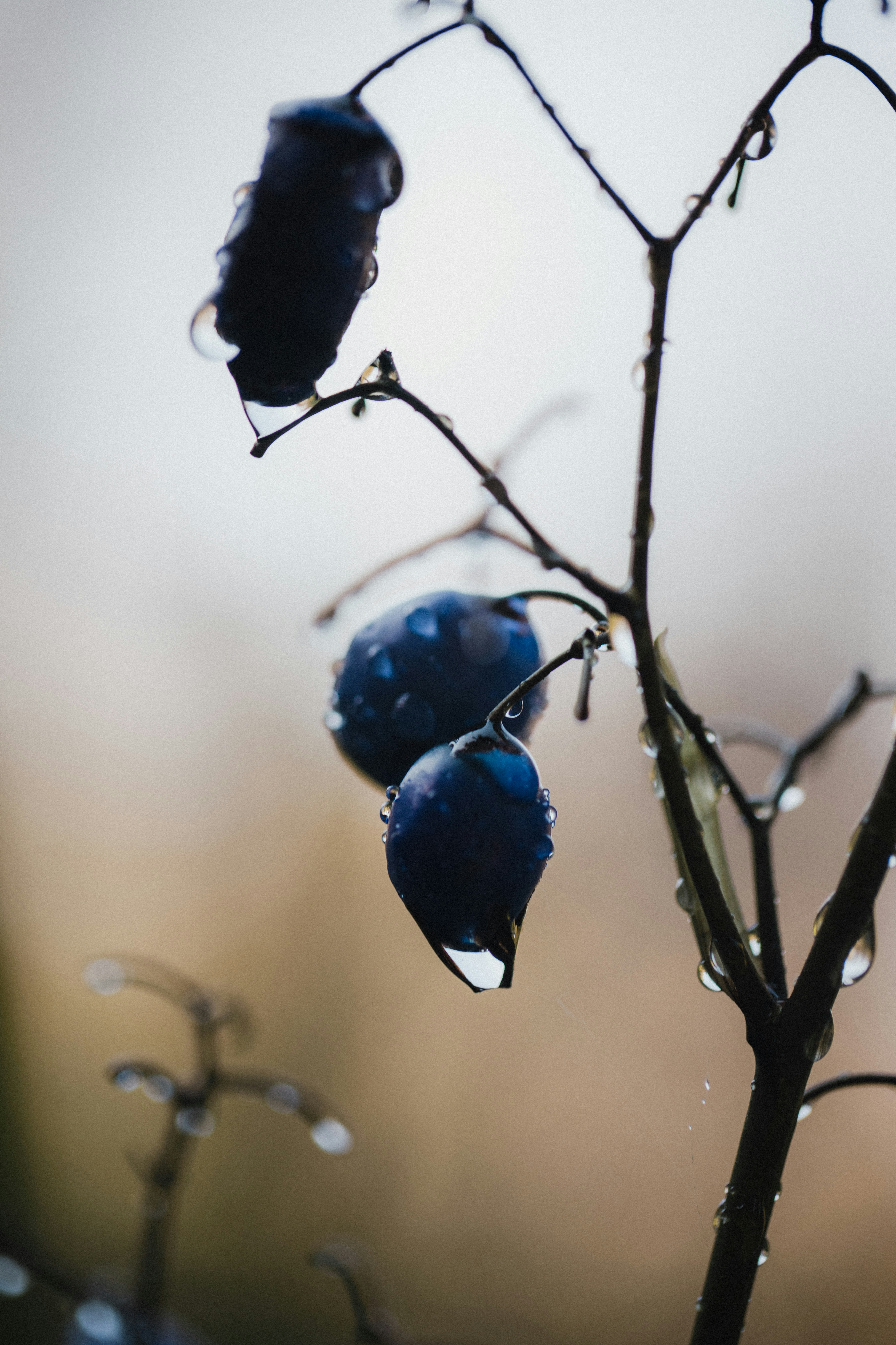 Photo by Jason Leung with Canon EOS R