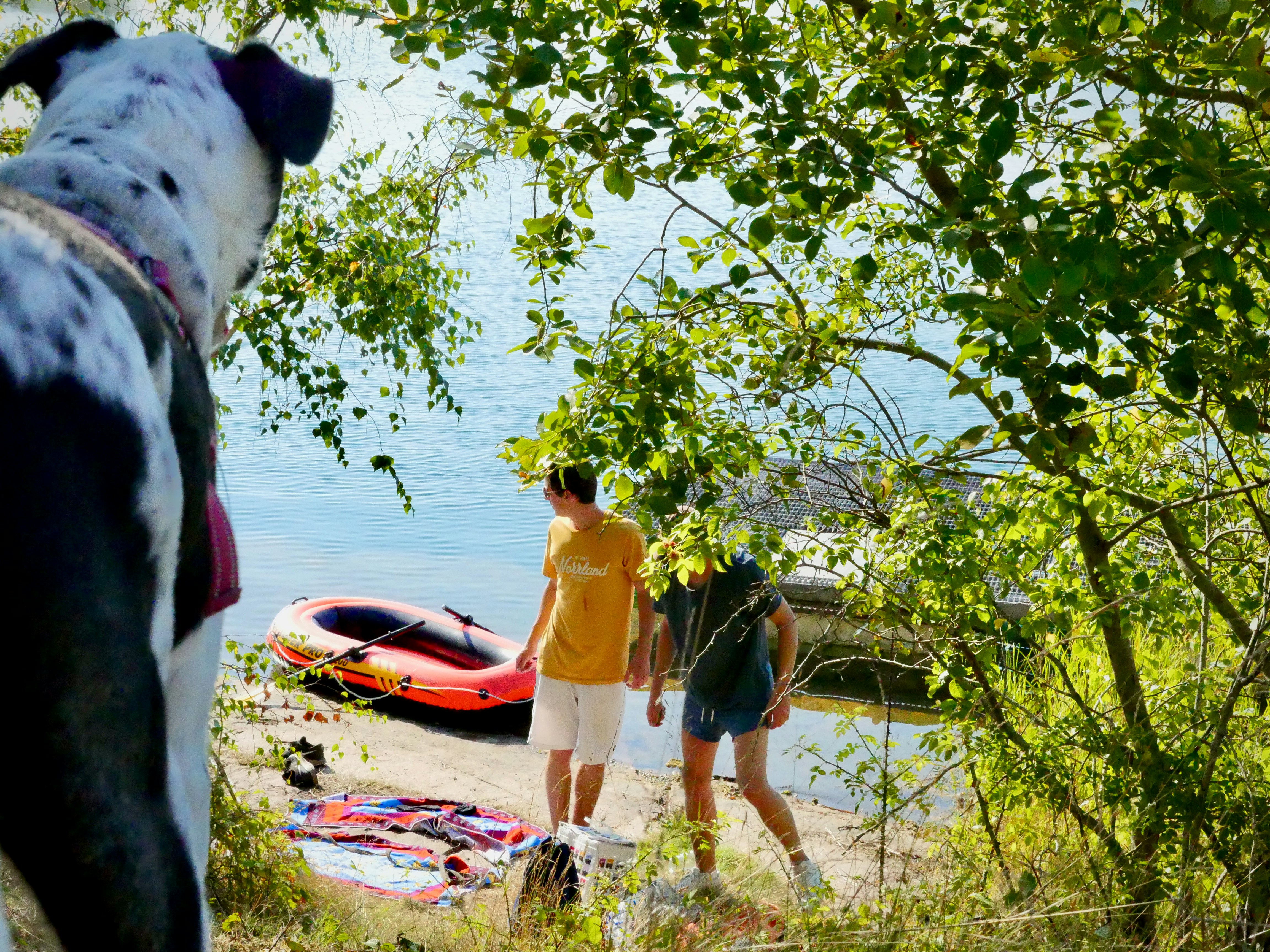 Two individuals preparing for a kayaking adventure by the river, framed by lush greenery. A curious dog observes the scene from a distance.