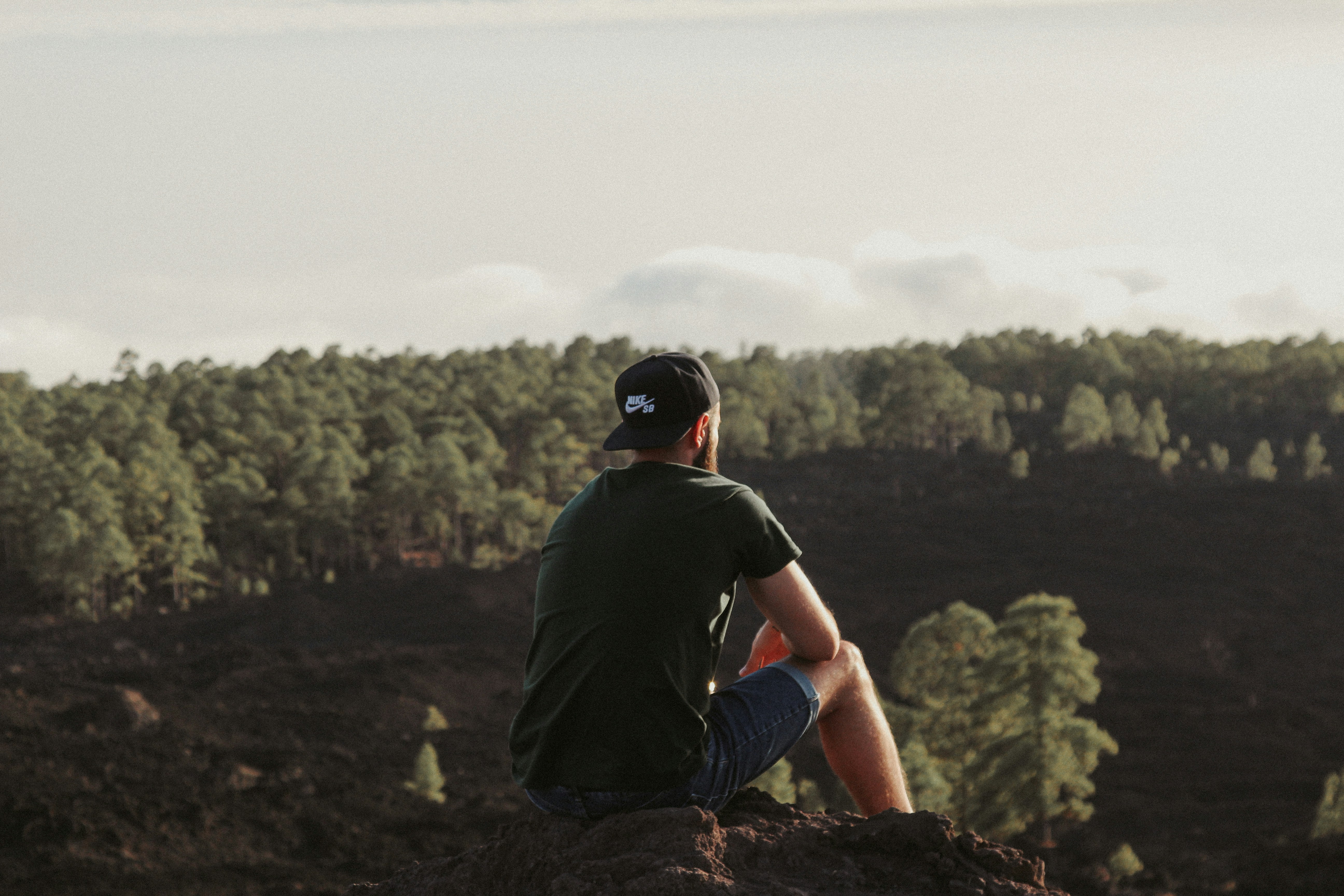 A young man sits contemplatively on a rocky outcrop, overlooking a lush forest landscape under a soft, cloudy sky.