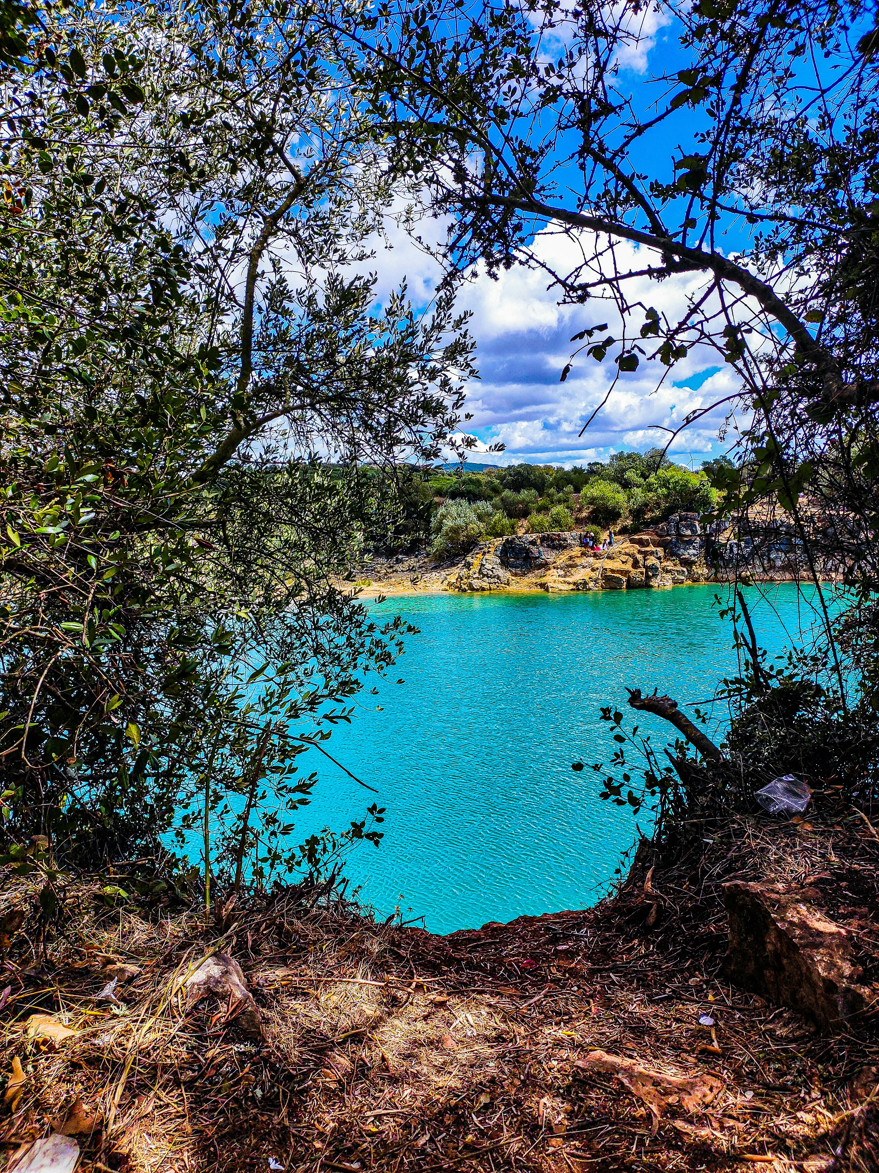 Turquoise cove framed by overhanging branches, with a rocky shoreline and a bright sky beyond.
