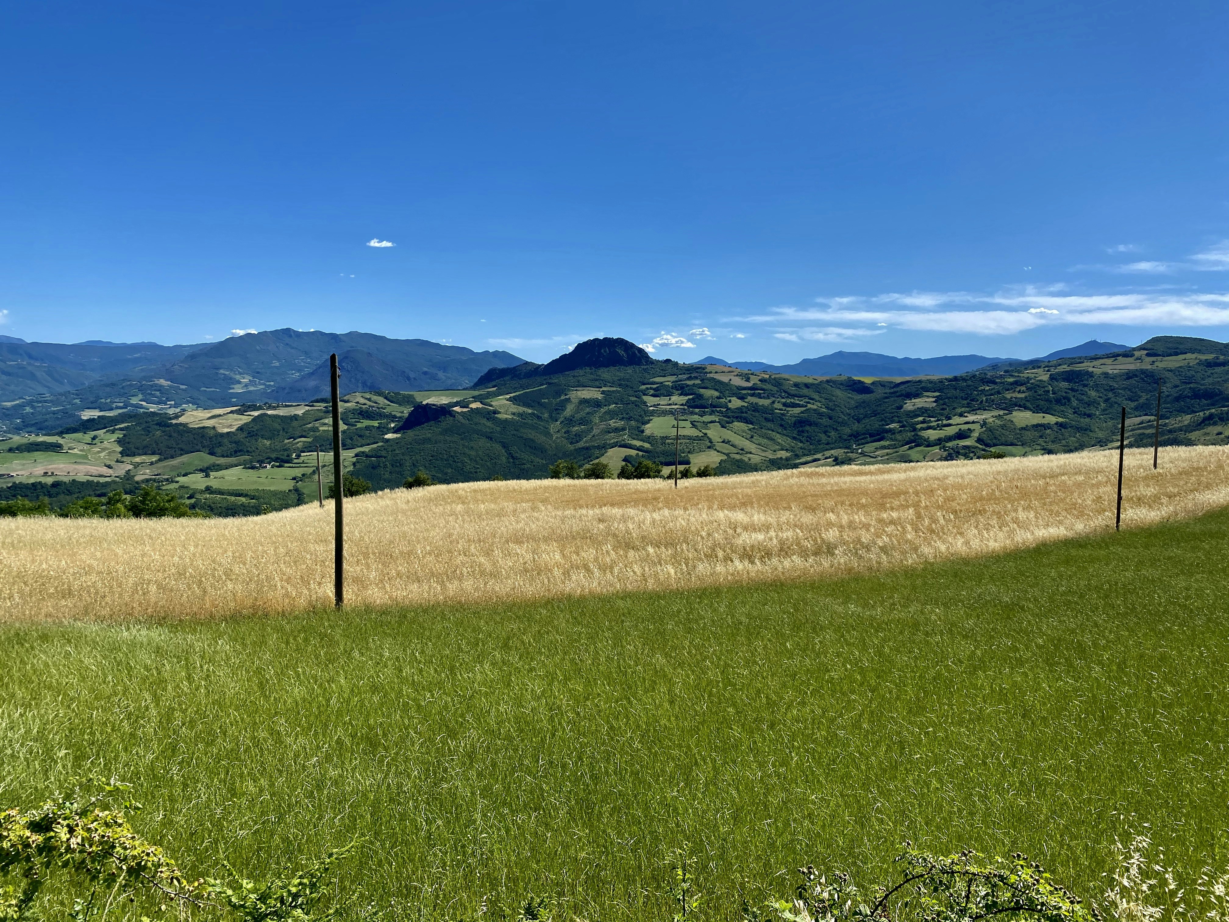Lush green fields stretch towards distant mountains under a clear blue sky.