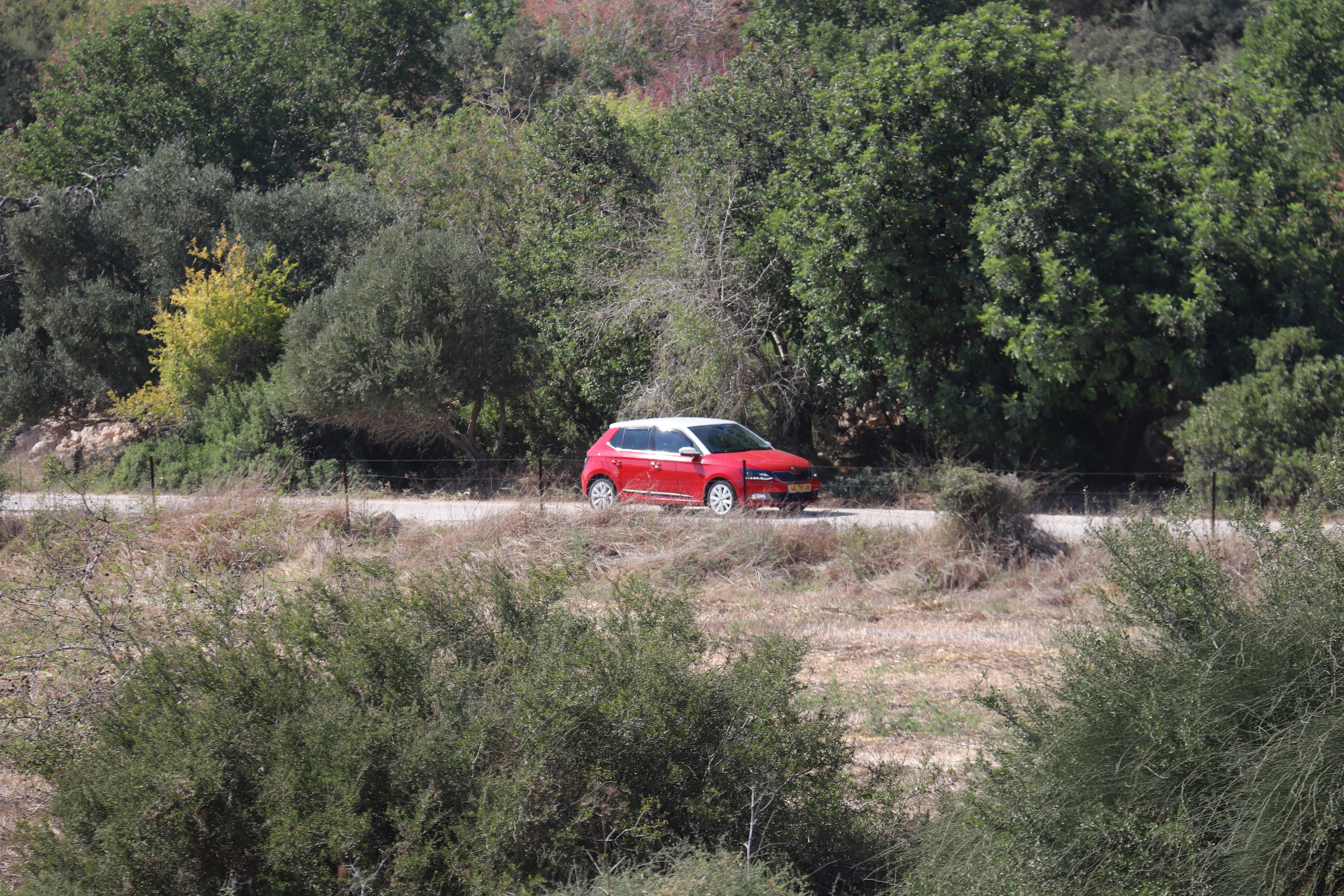 red sedan on dirt road near green trees during daytime