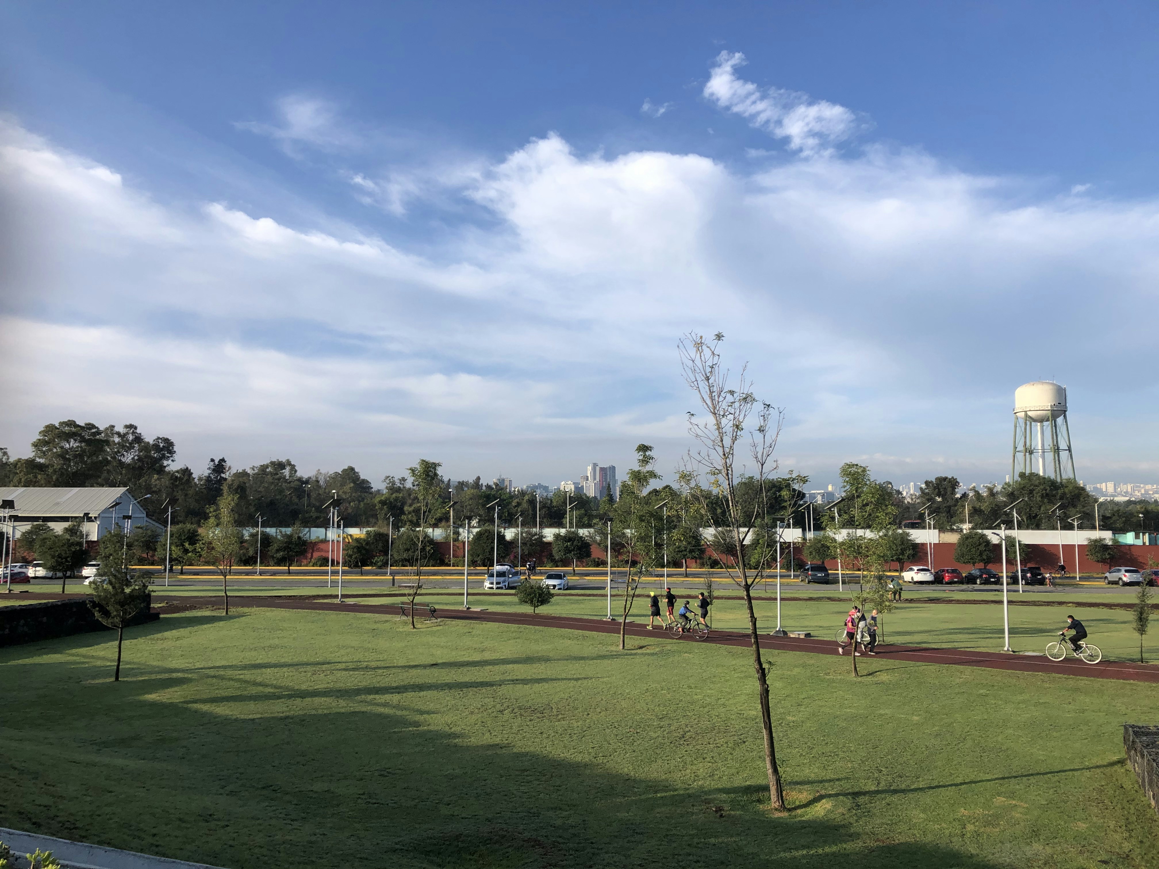Lush green park featuring pathways and people enjoying outdoor activities under a clear blue sky.