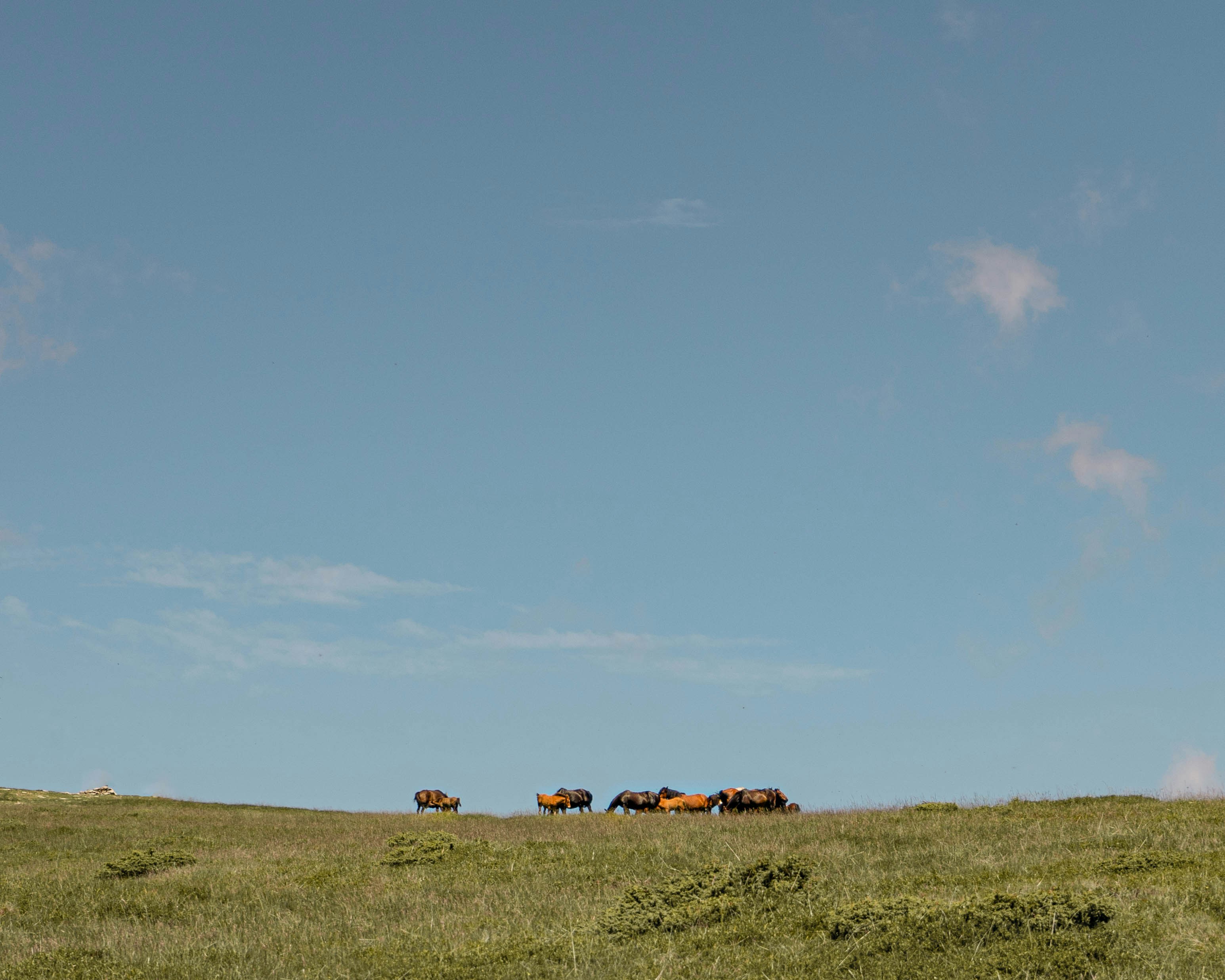 Green grass field under blue sky during daytime photo – Free Grey Image ...
