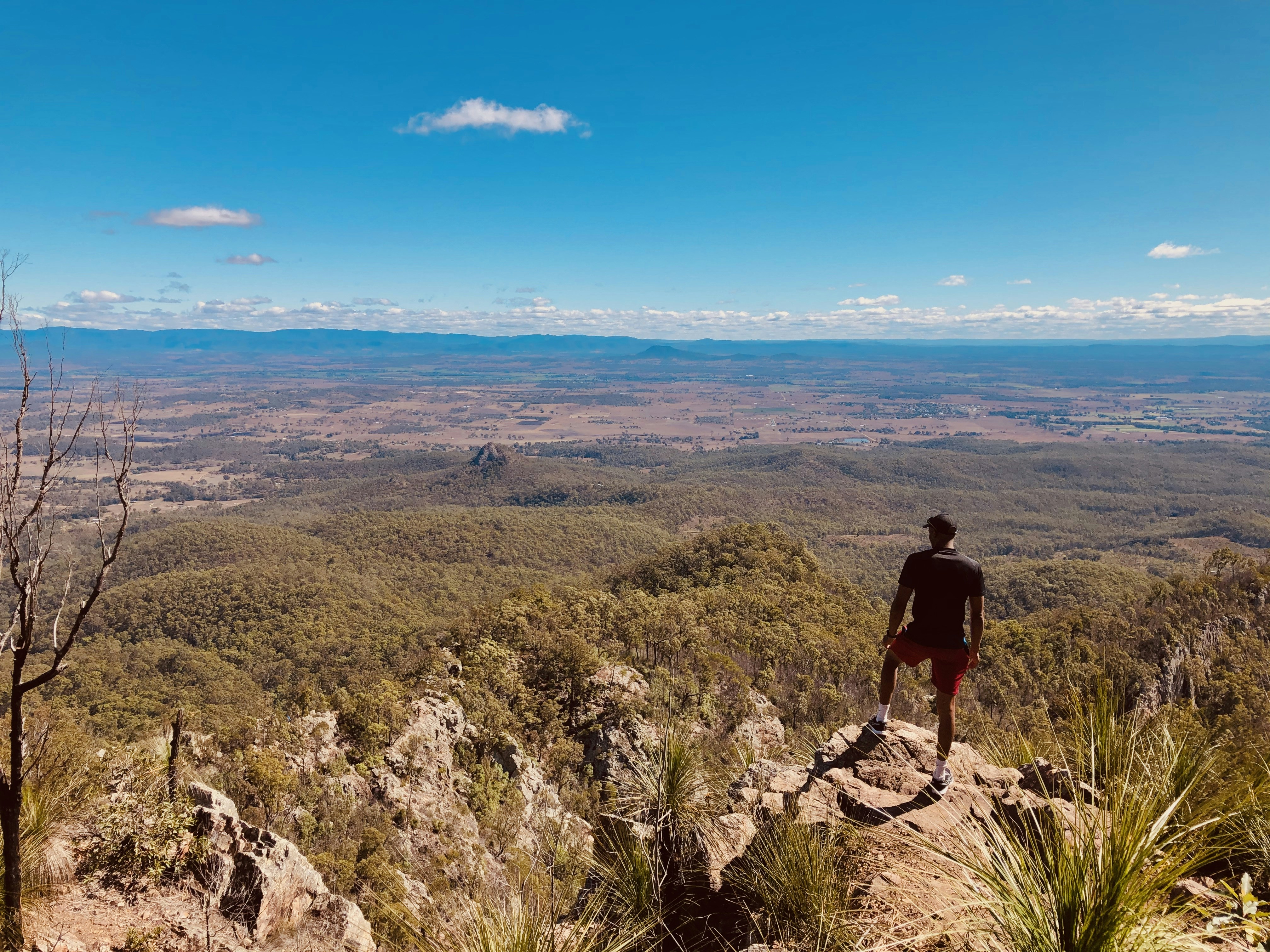 Ridgewalker at the Edge: A Lone Hiker Gazes Over a Vast Forested Valley