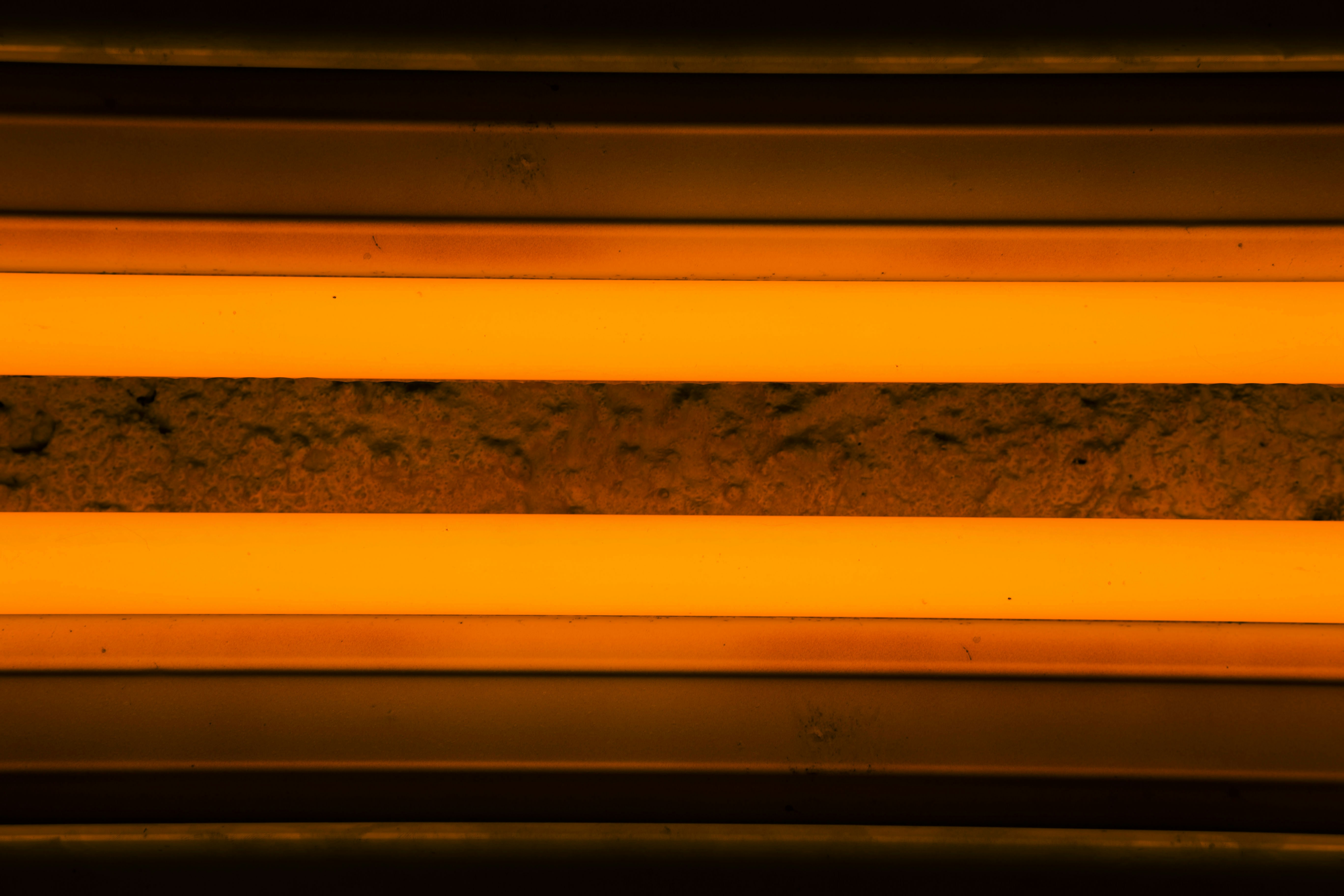 Neon Yellow Pictures | Download Free Images on Unsplash