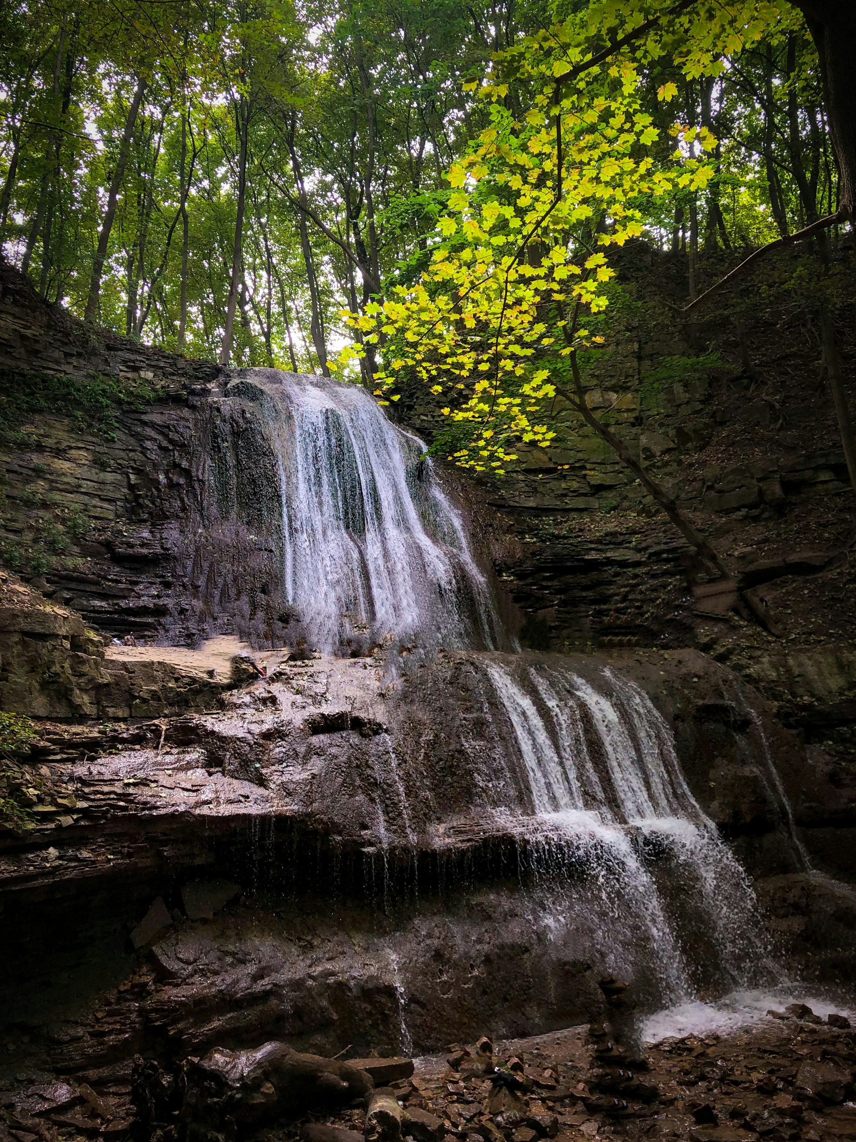 Cascades au milieu de la forêt photo – Photo Hamilton Gratuite sur Unsplash