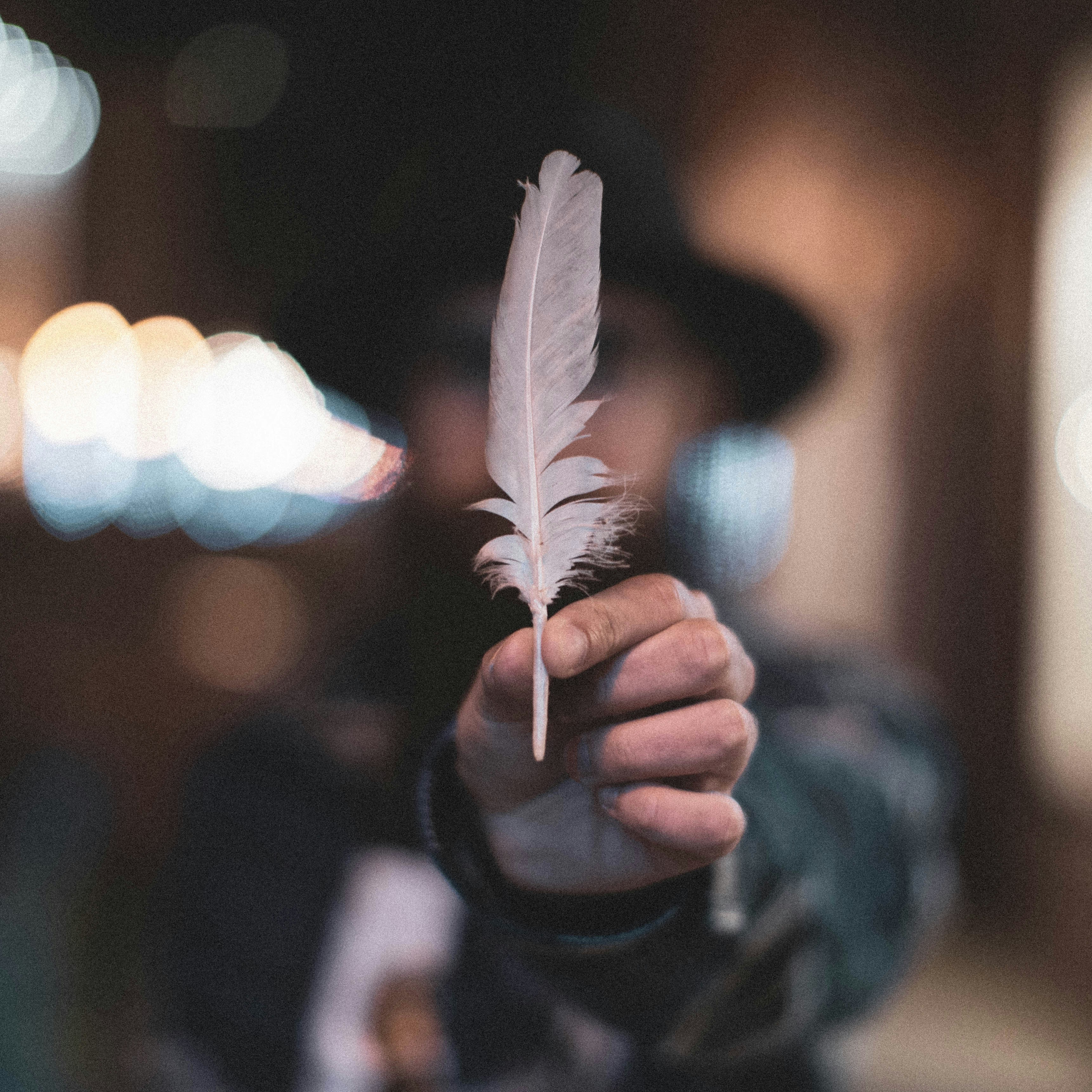Midnight Feather in a City of Bokeh