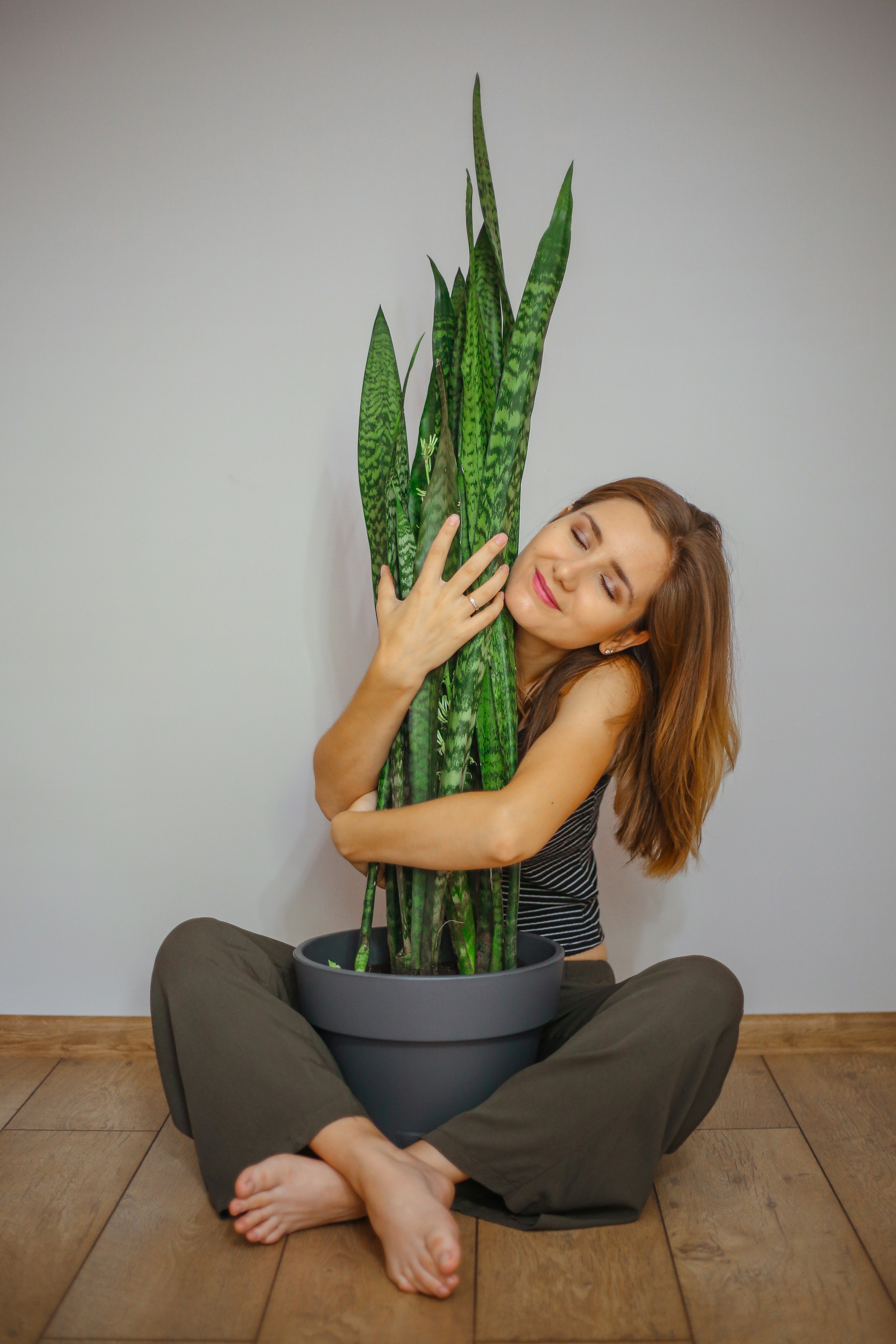 Quiet Embrace: a woman and a tall Sansevieria plant in a calm indoor moment