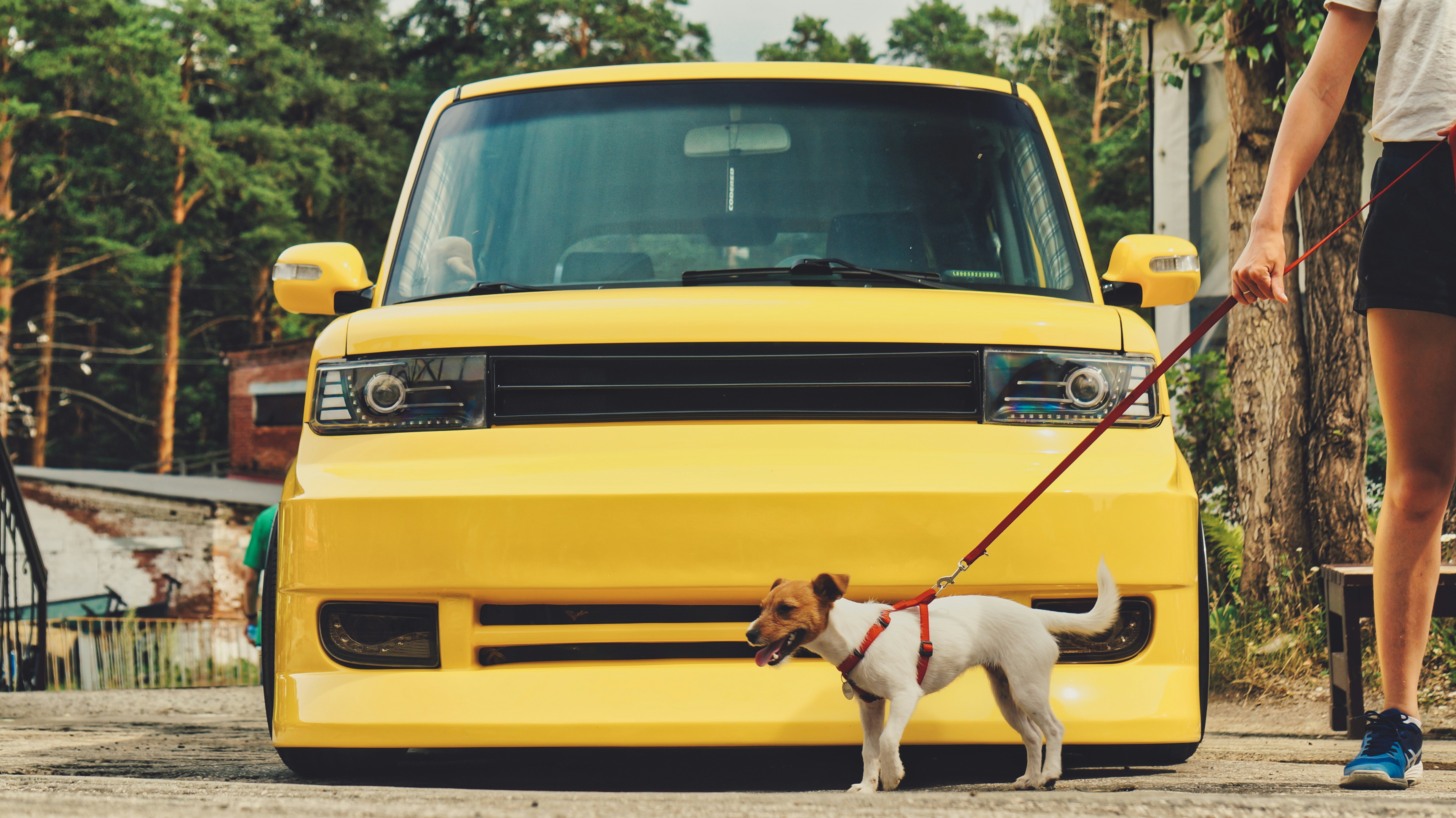 Compact yellow car parked by a pathway with a small dog on a leash in the foreground.