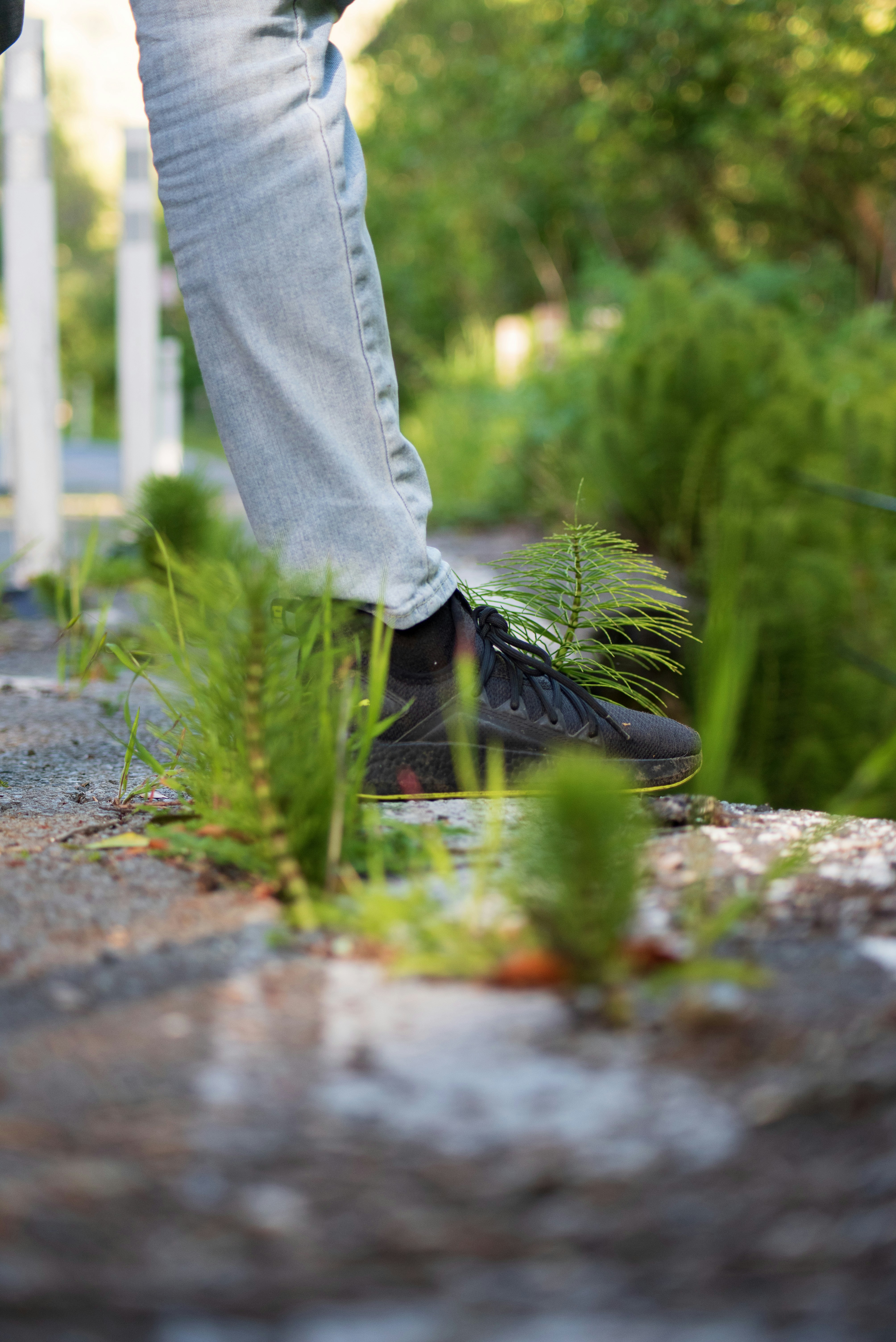 Low-Angle Footfall on a Mossy Path
