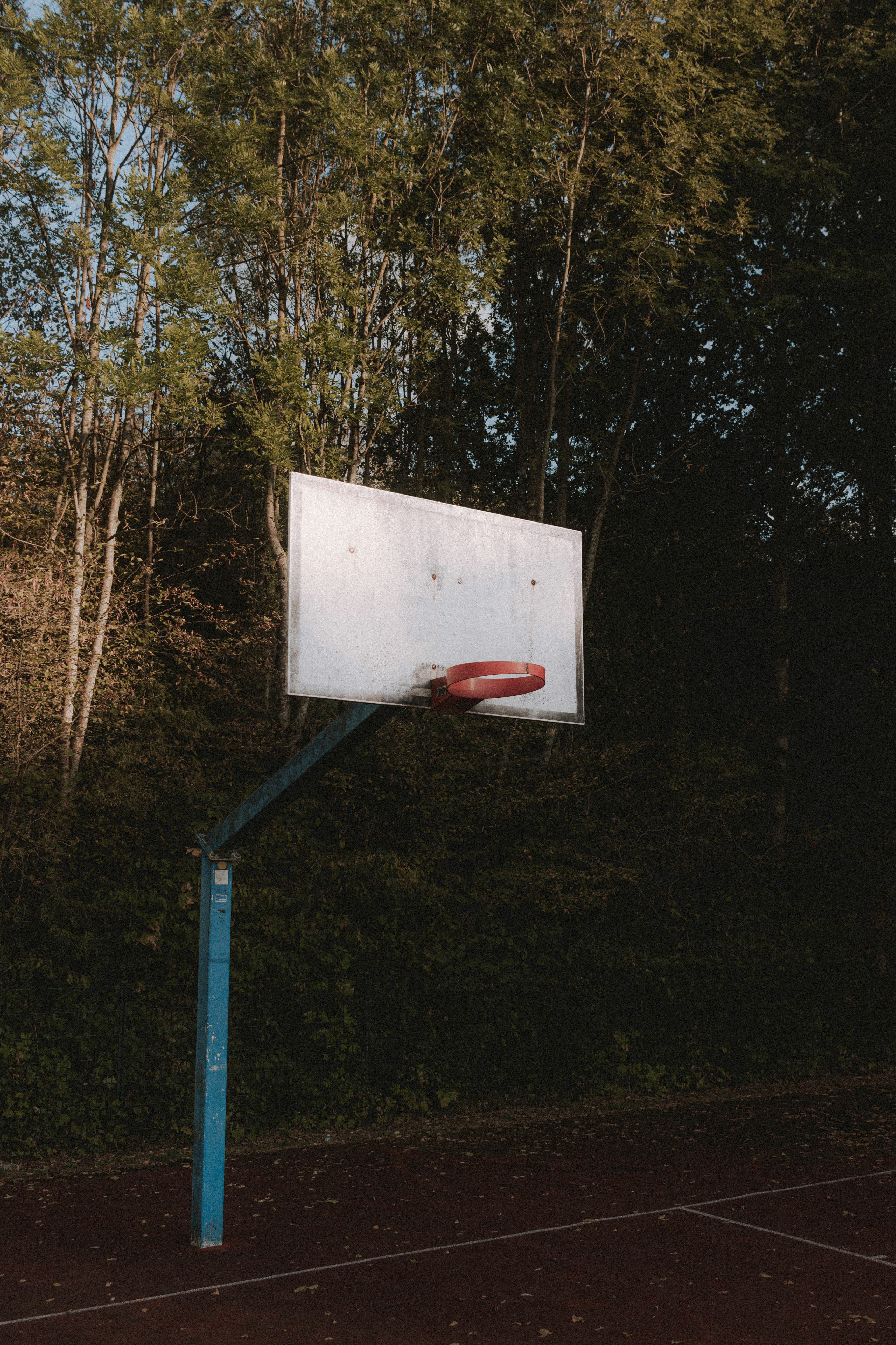 A weathered basketball hoop stands alone on an empty court, surrounded by dense foliage and fading light.