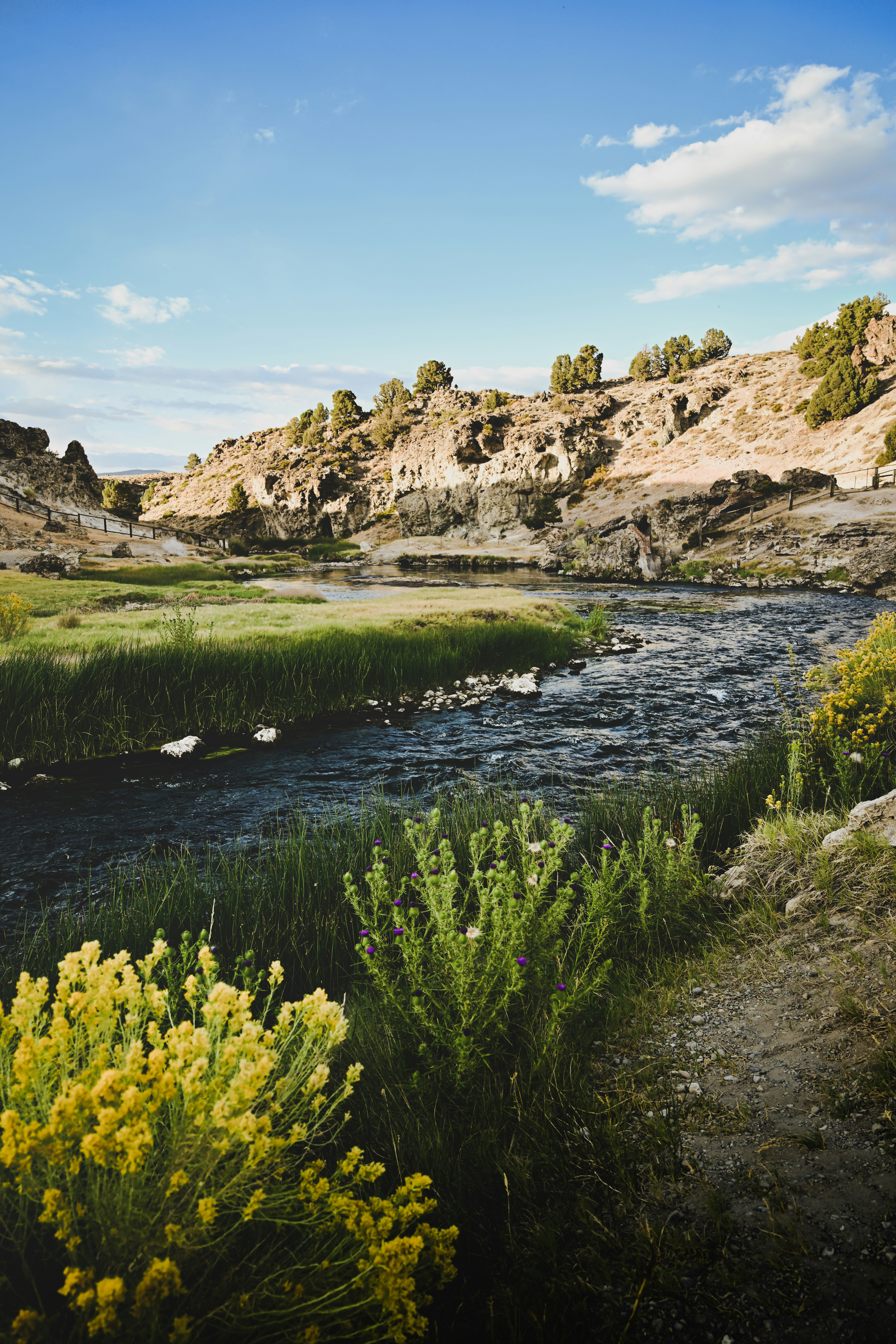 River Flow Pictures | Download Free Images on Unsplash
