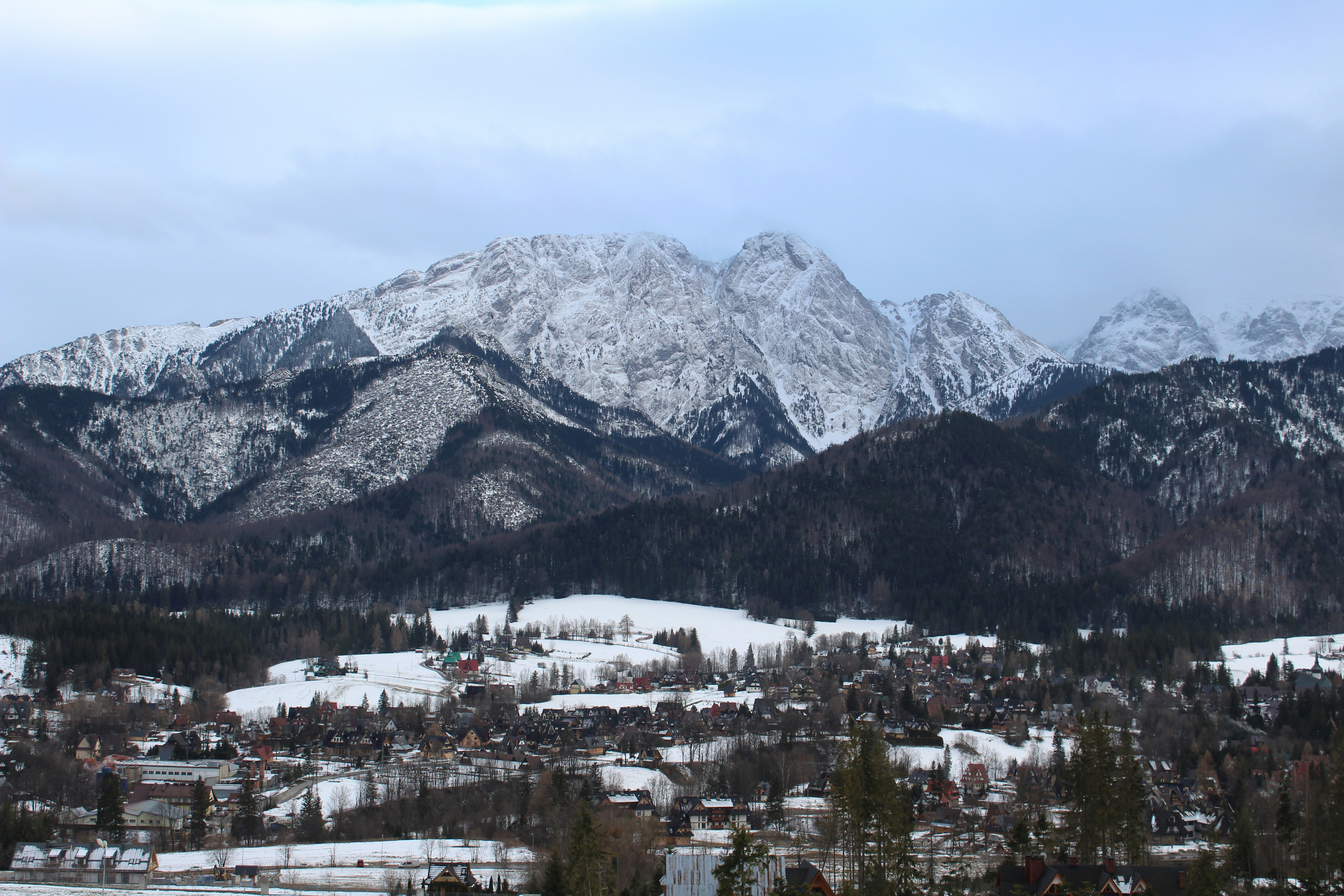 Winter's Embrace in Alpine Village