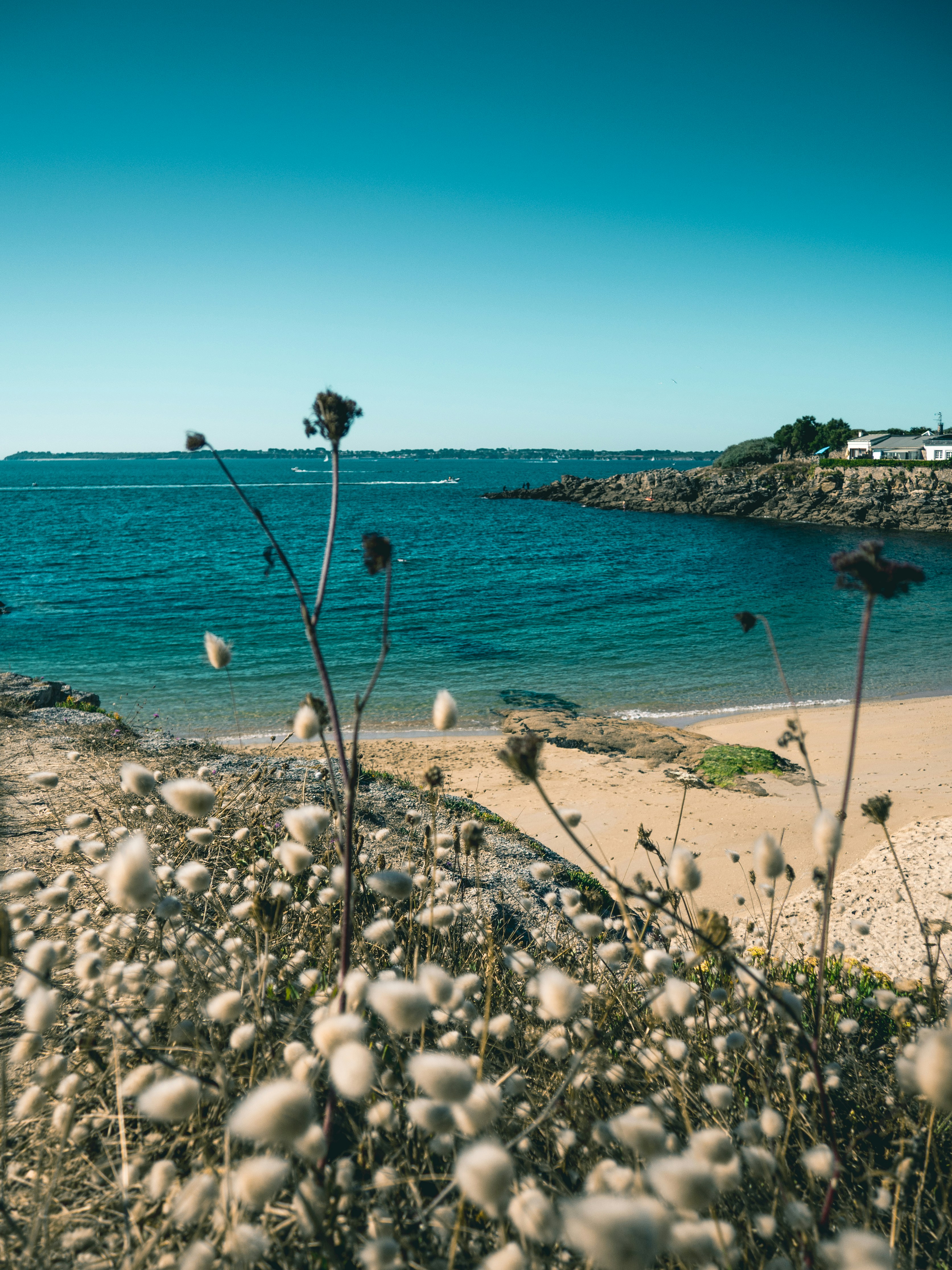 Seafoam Lacy: Sea, Sand, and Silhouettes in Bloom