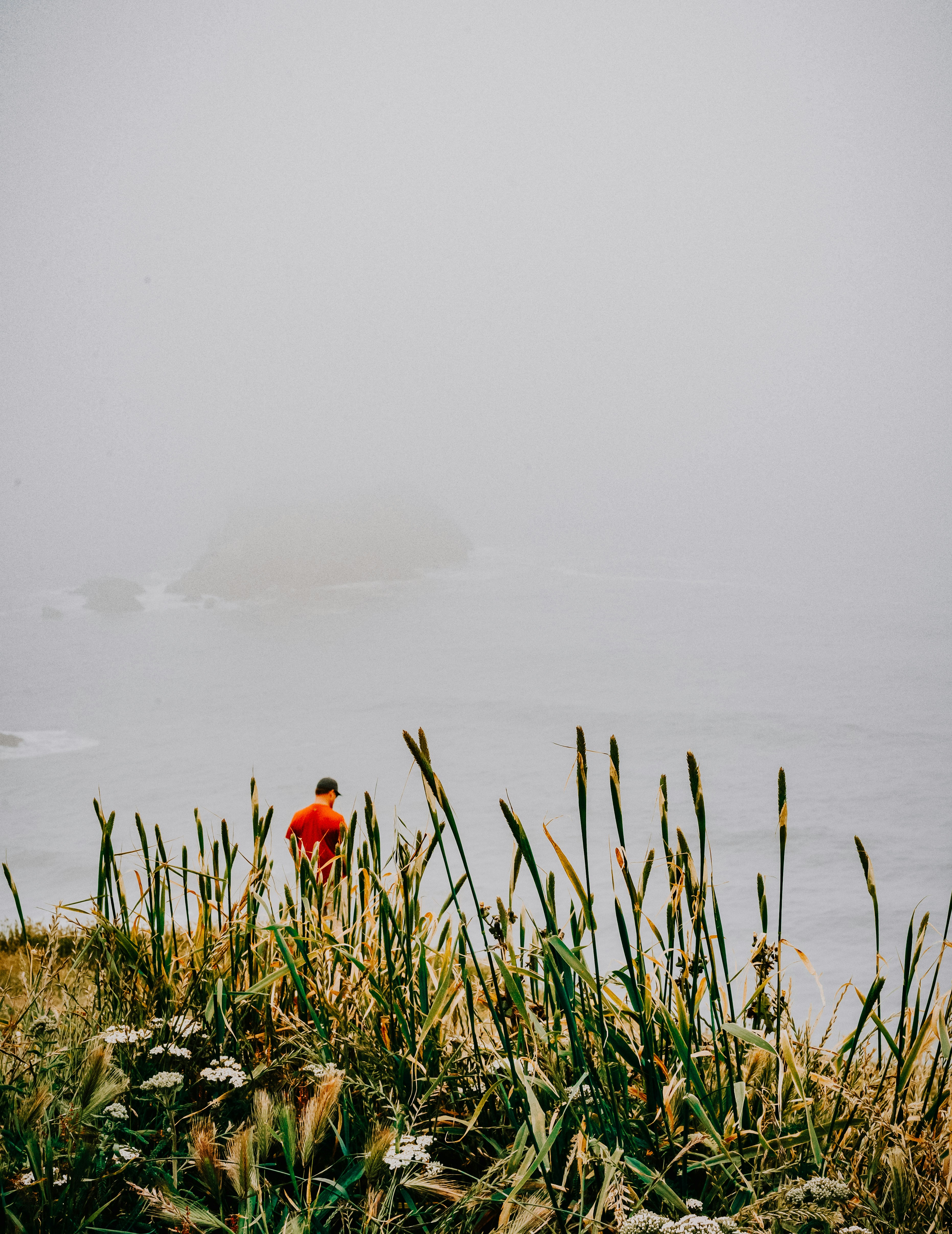 A lone figure in a red shirt stands amidst tall grass, gazing at a foggy coastline. The ethereal atmosphere creates a sense of solitude and introspection.