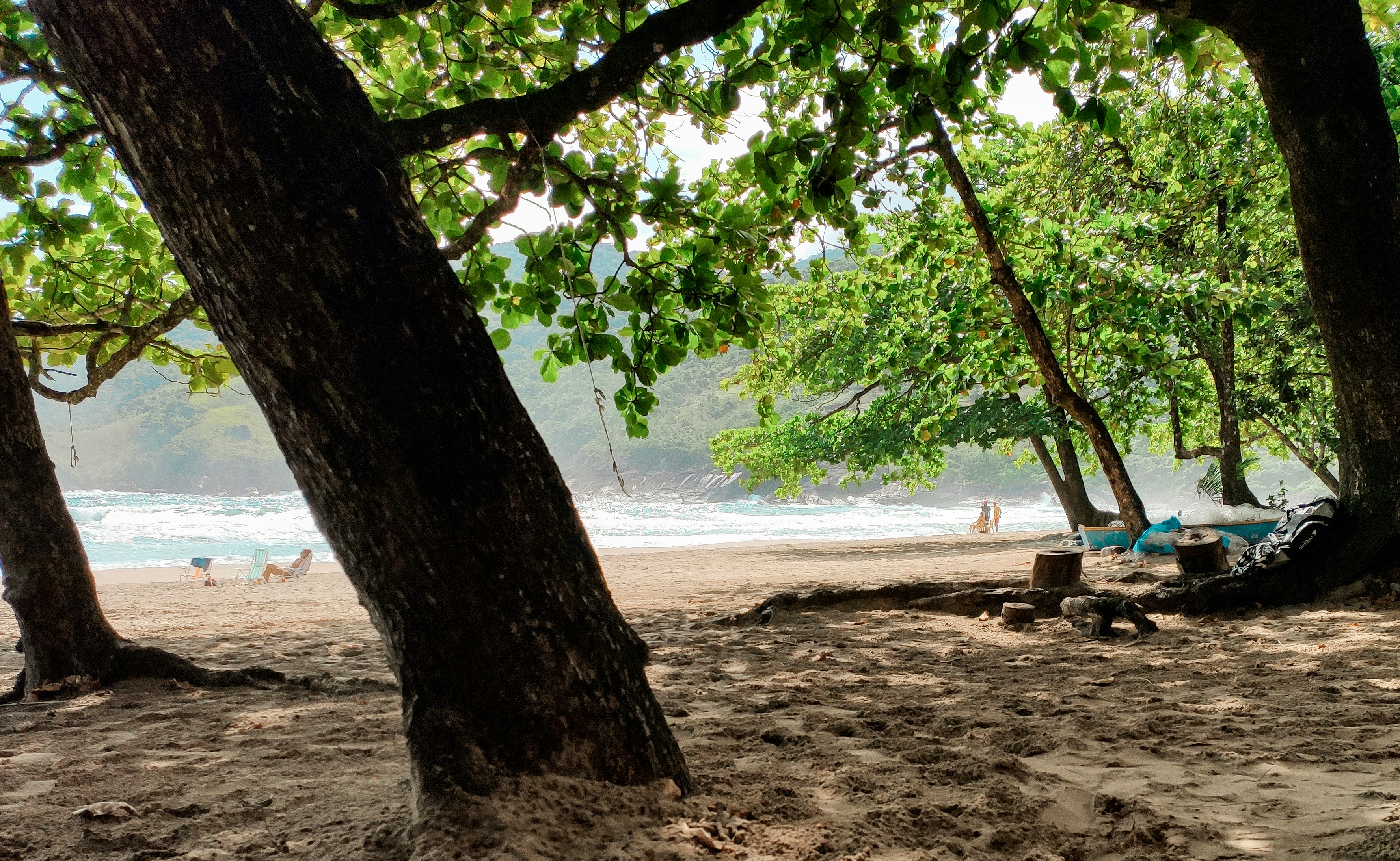 Serene beach scene framed by lush trees, with gentle waves lapping at the shore and a distant figure strolling along the sand.