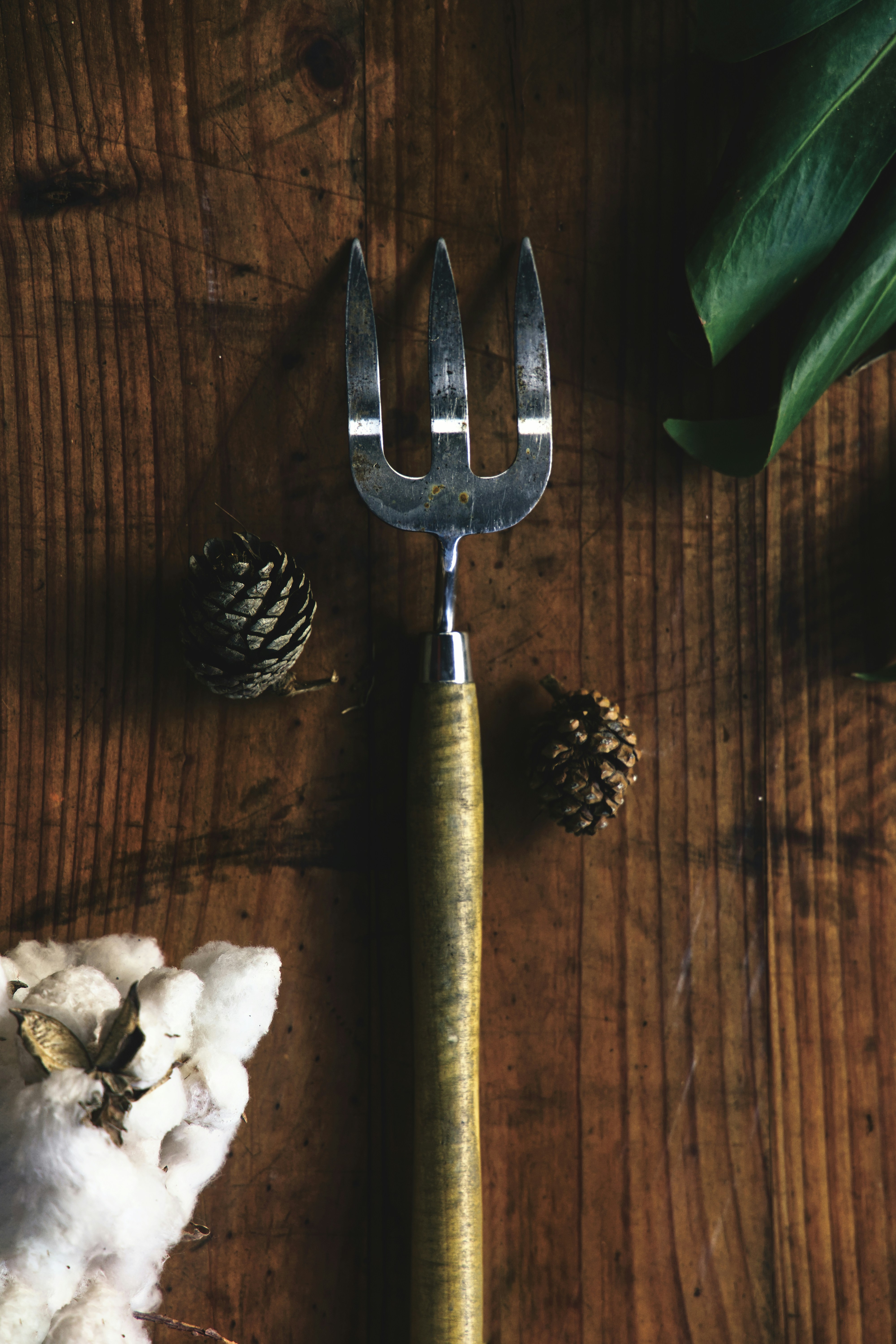 Patinaed Garden Fork on Weathered Wood: A Quiet Still Life