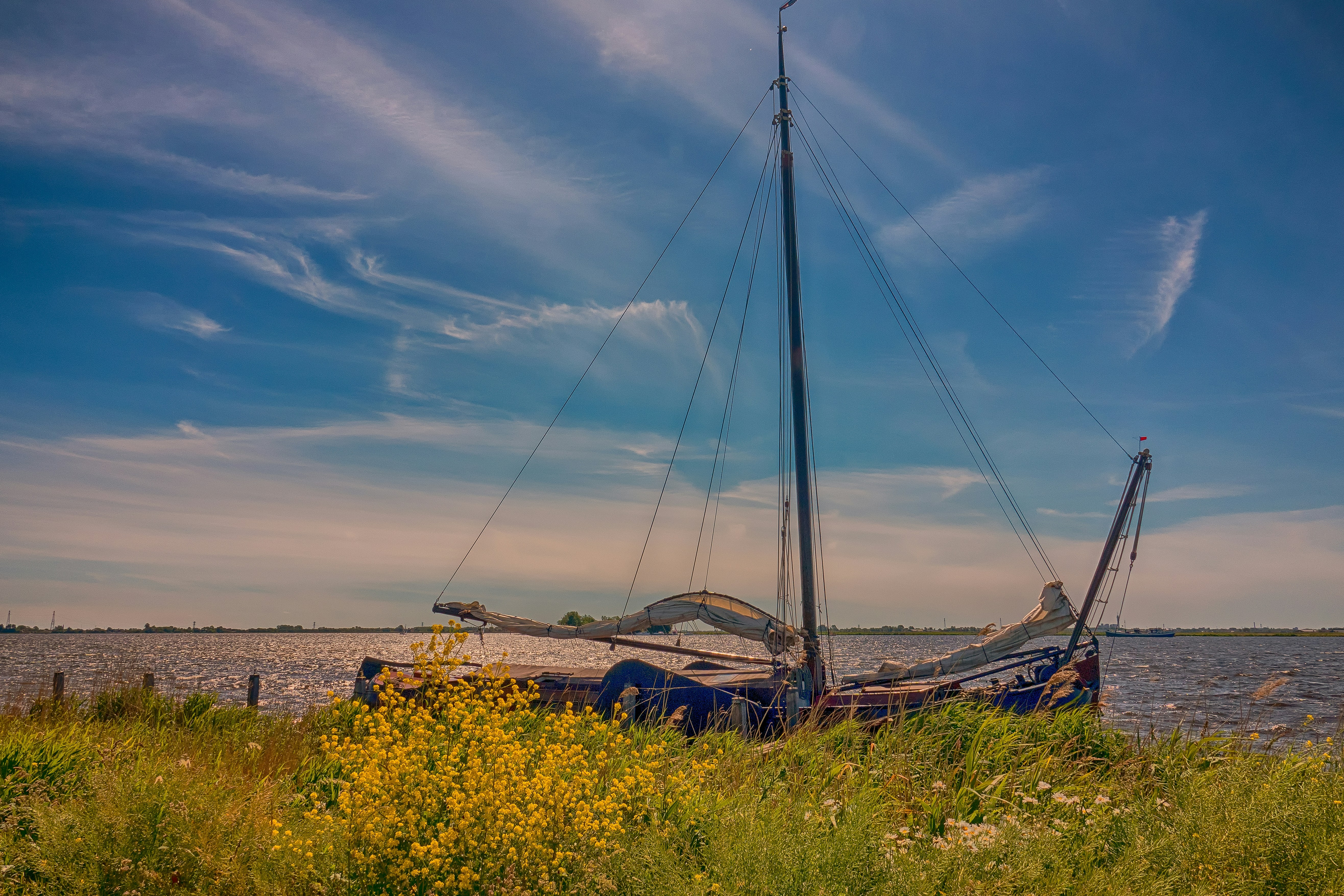 The Quiet Mast: A Weathered Vessel at the Edge of Spring