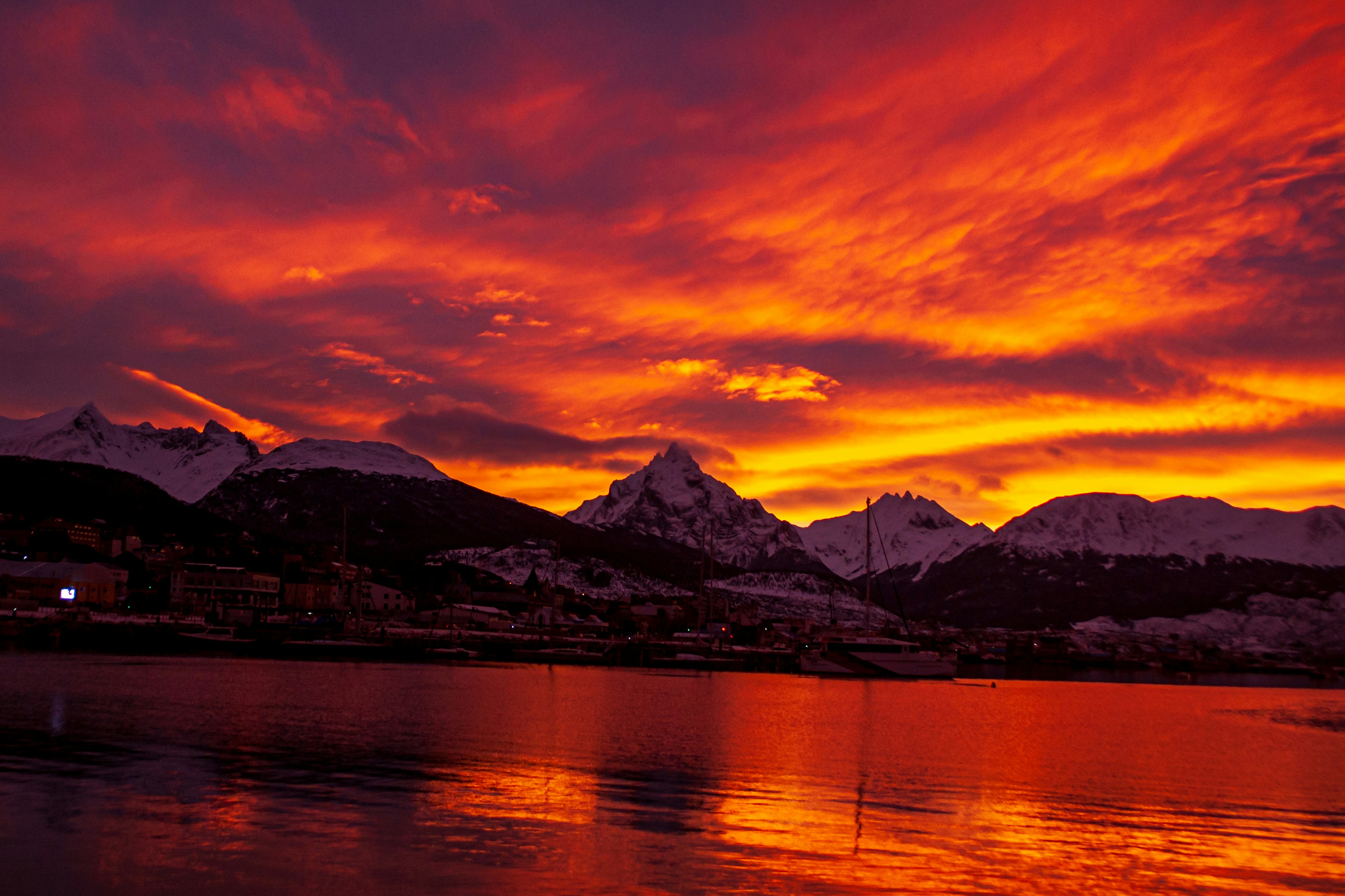Federico Tuninetti (@washinoboku) | Unsplash Photo Community